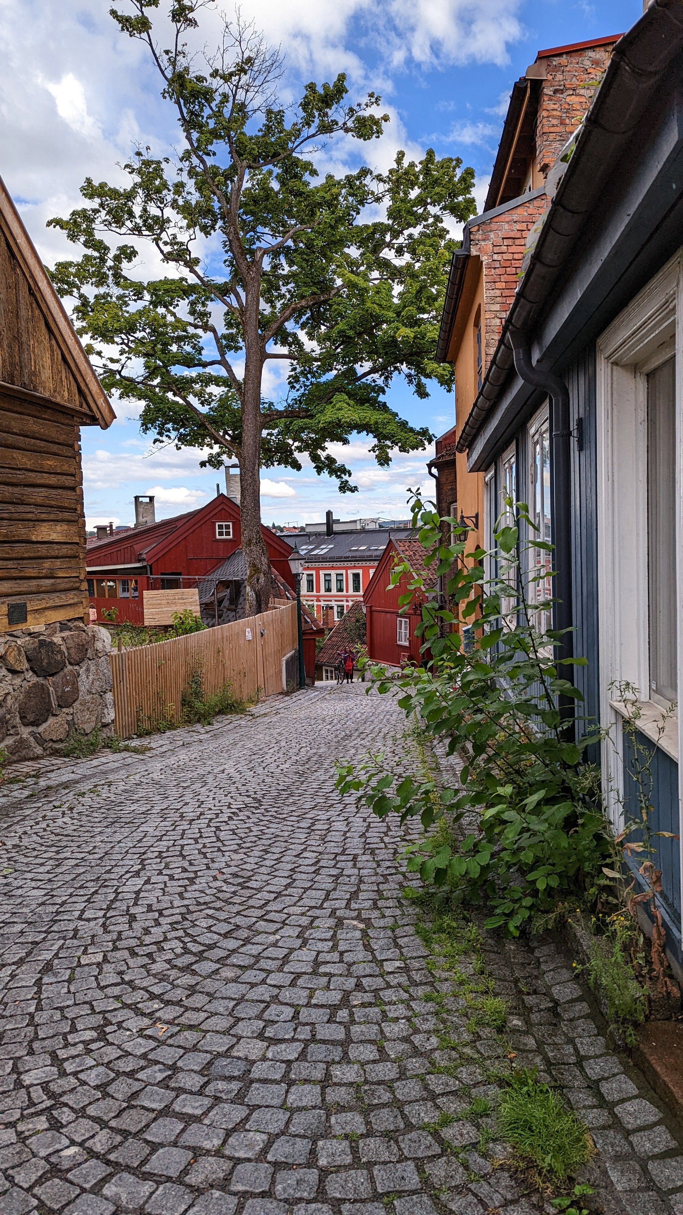 Narrow Sidewalk in Nordic Style Neighbourhood · Free Stock Photo