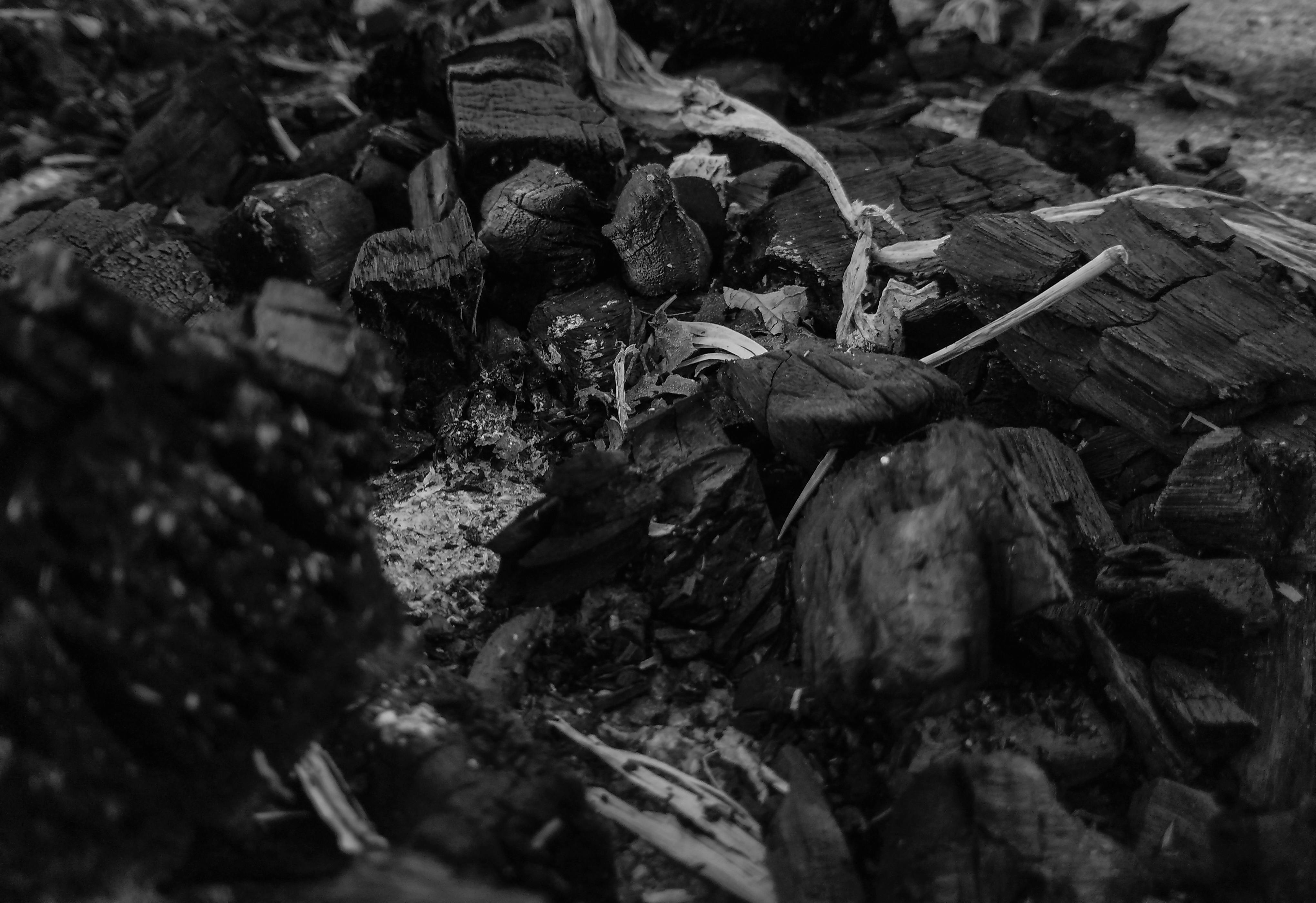 A Grayscale Close-Up Shot of Charcoal · Free Stock Photo