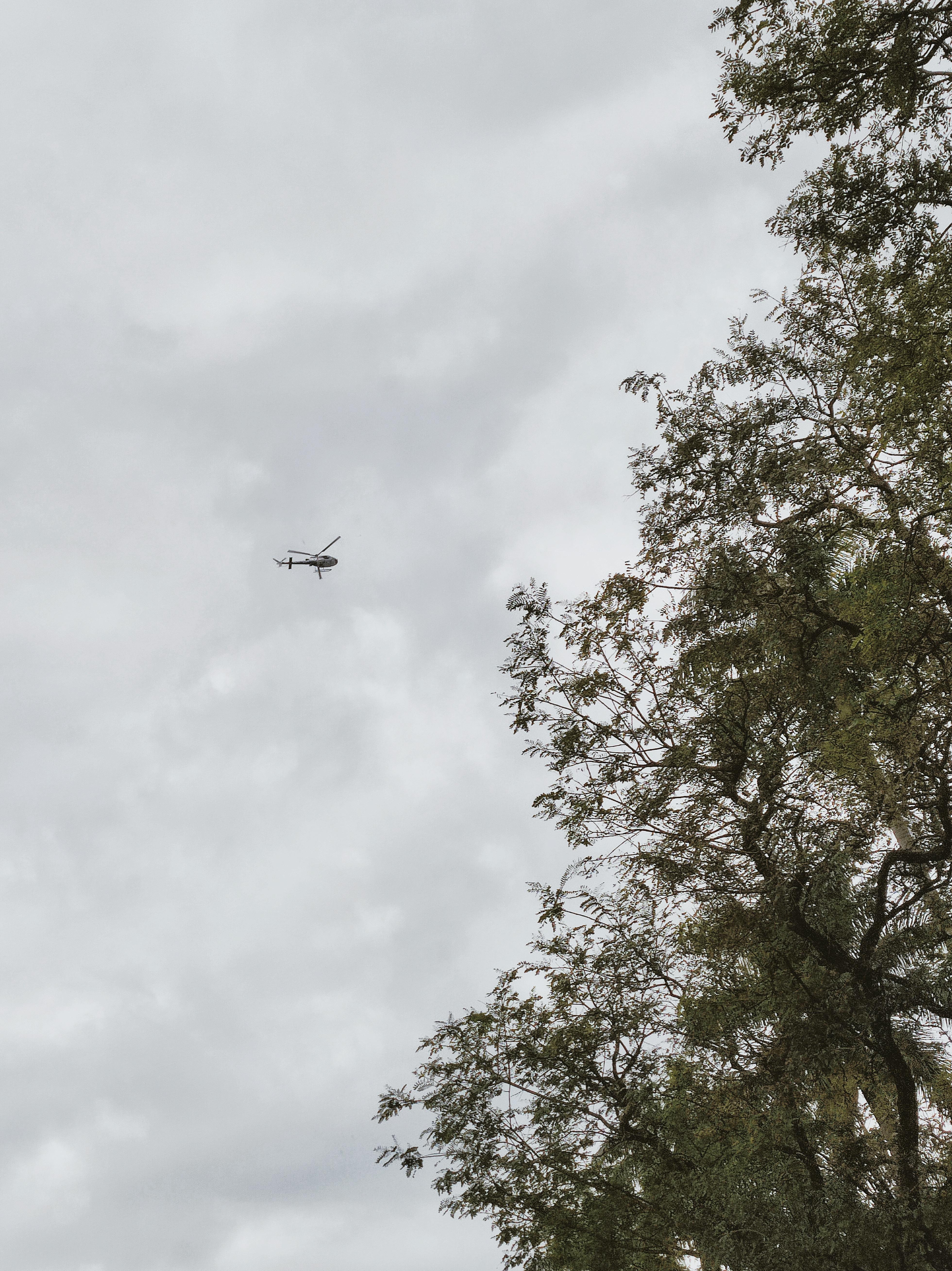 Helicopter Flying Over Green Trees · Free Stock Photo