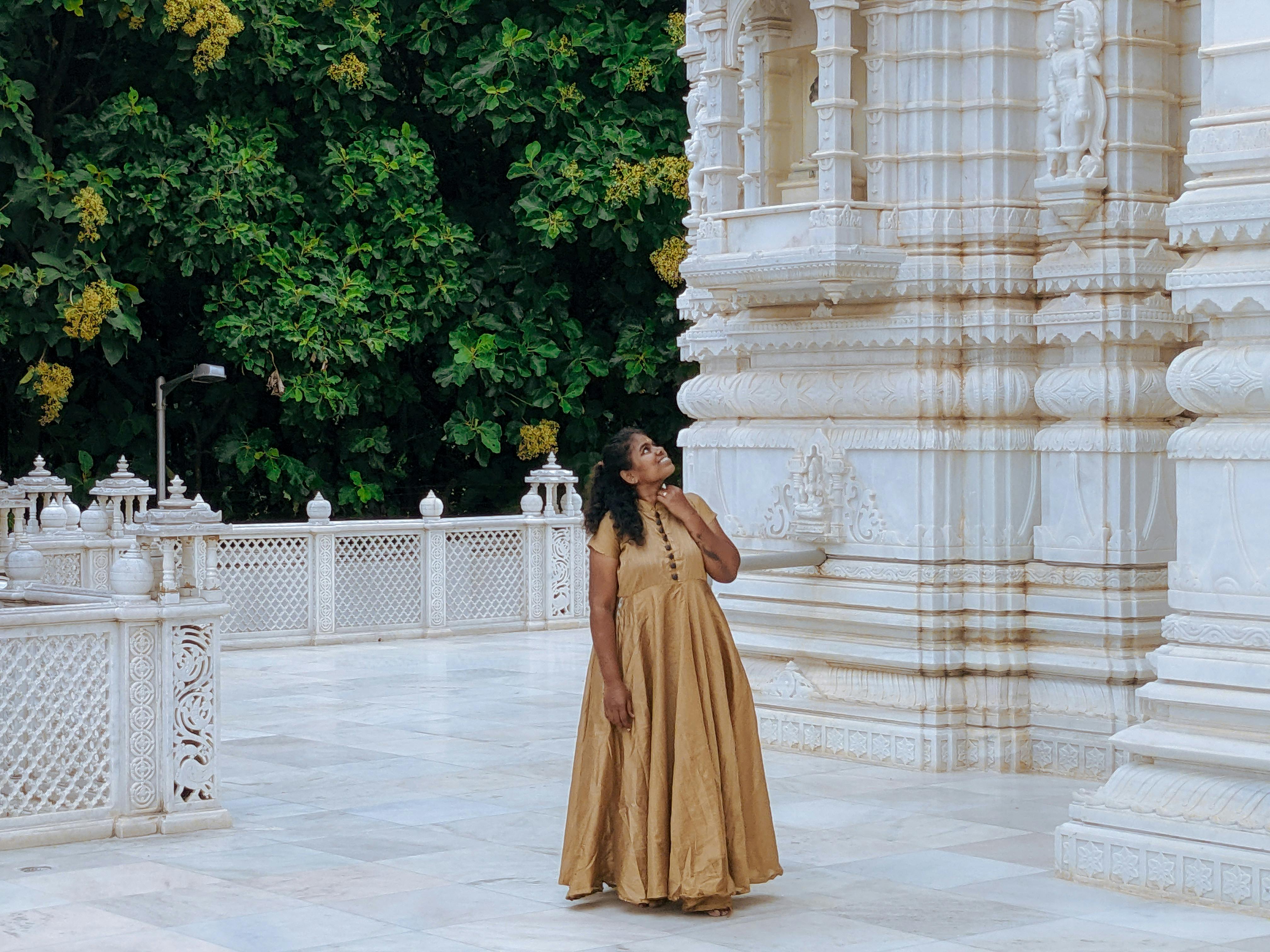 A Woman in Brown Dress · Free Stock Photo