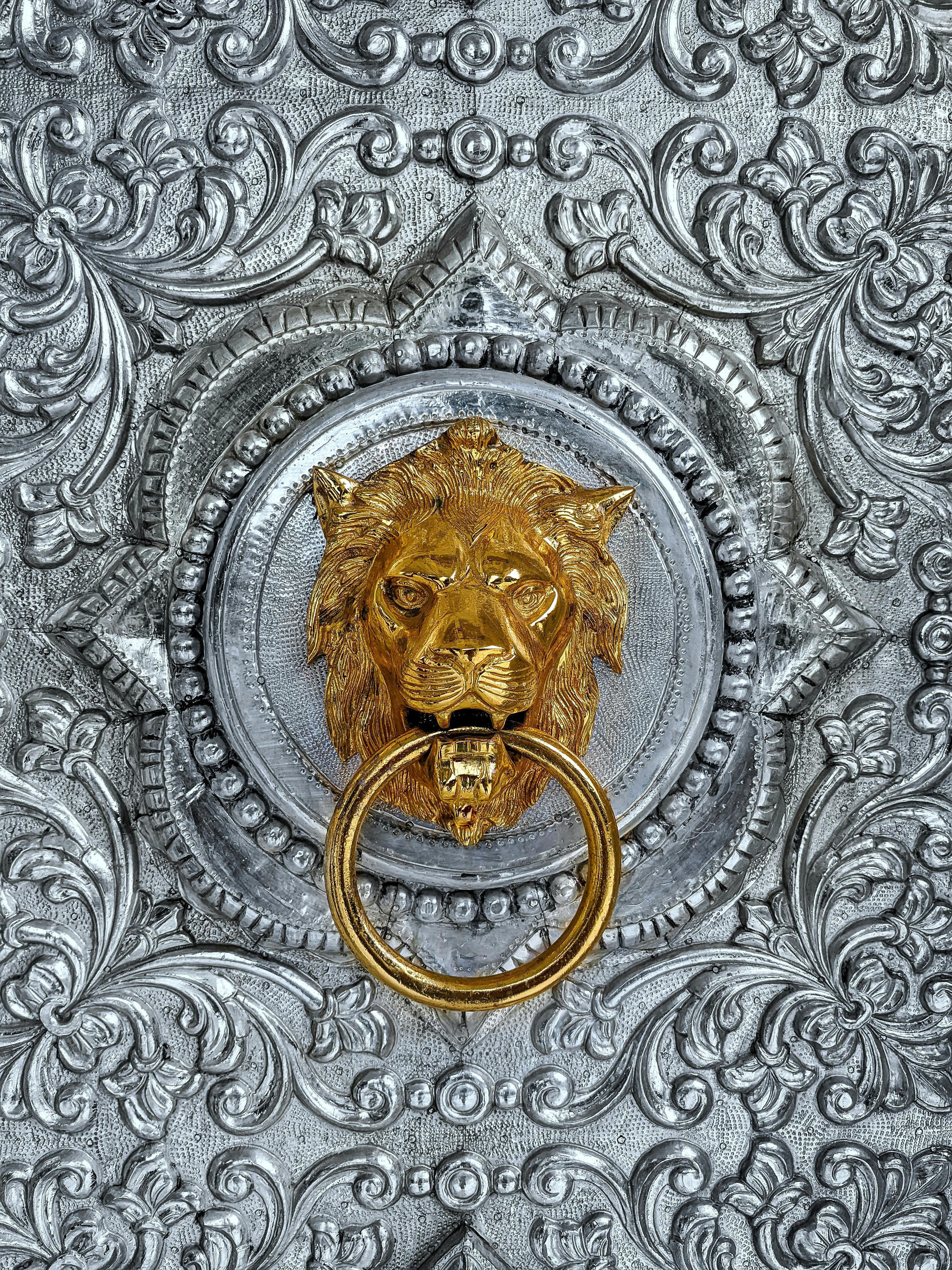 Gold Lion Door Knocker in Close Up Shot · Free Stock Photo