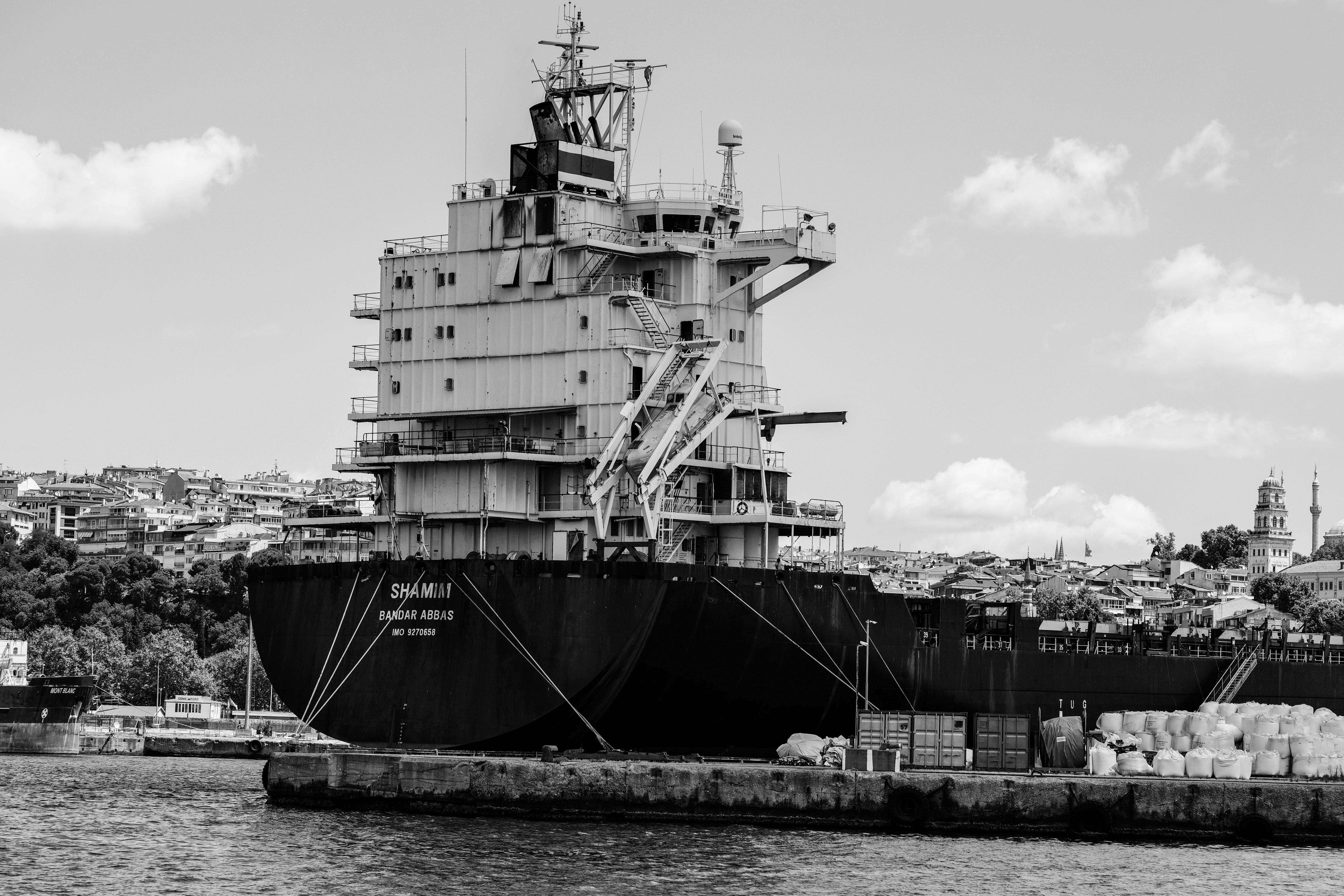 Grayscale Photo of a Ship on Sea · Free Stock Photo