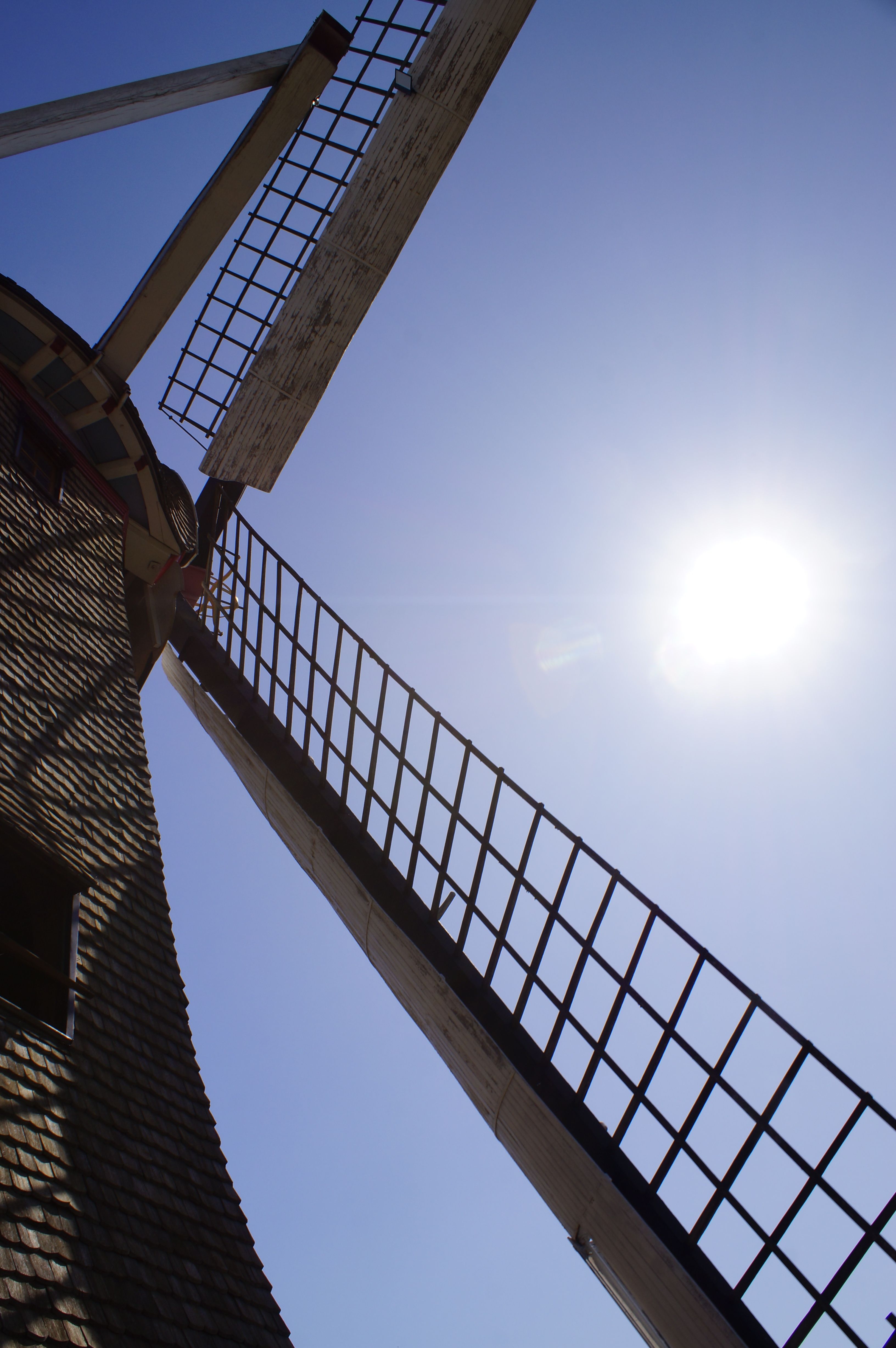 Windmills Beside the Lake · Free Stock Photo