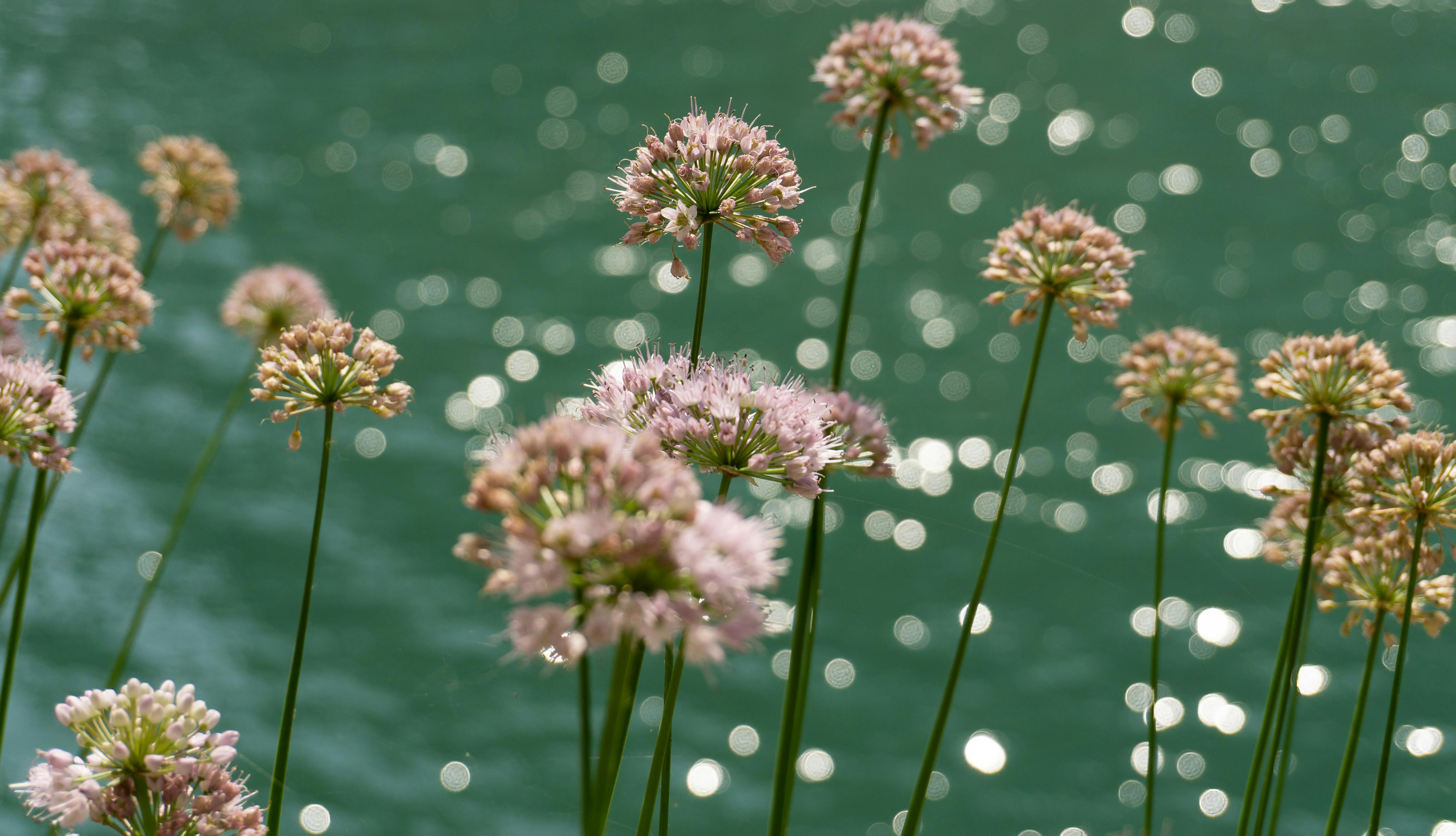 Joseph Kessler - Photography