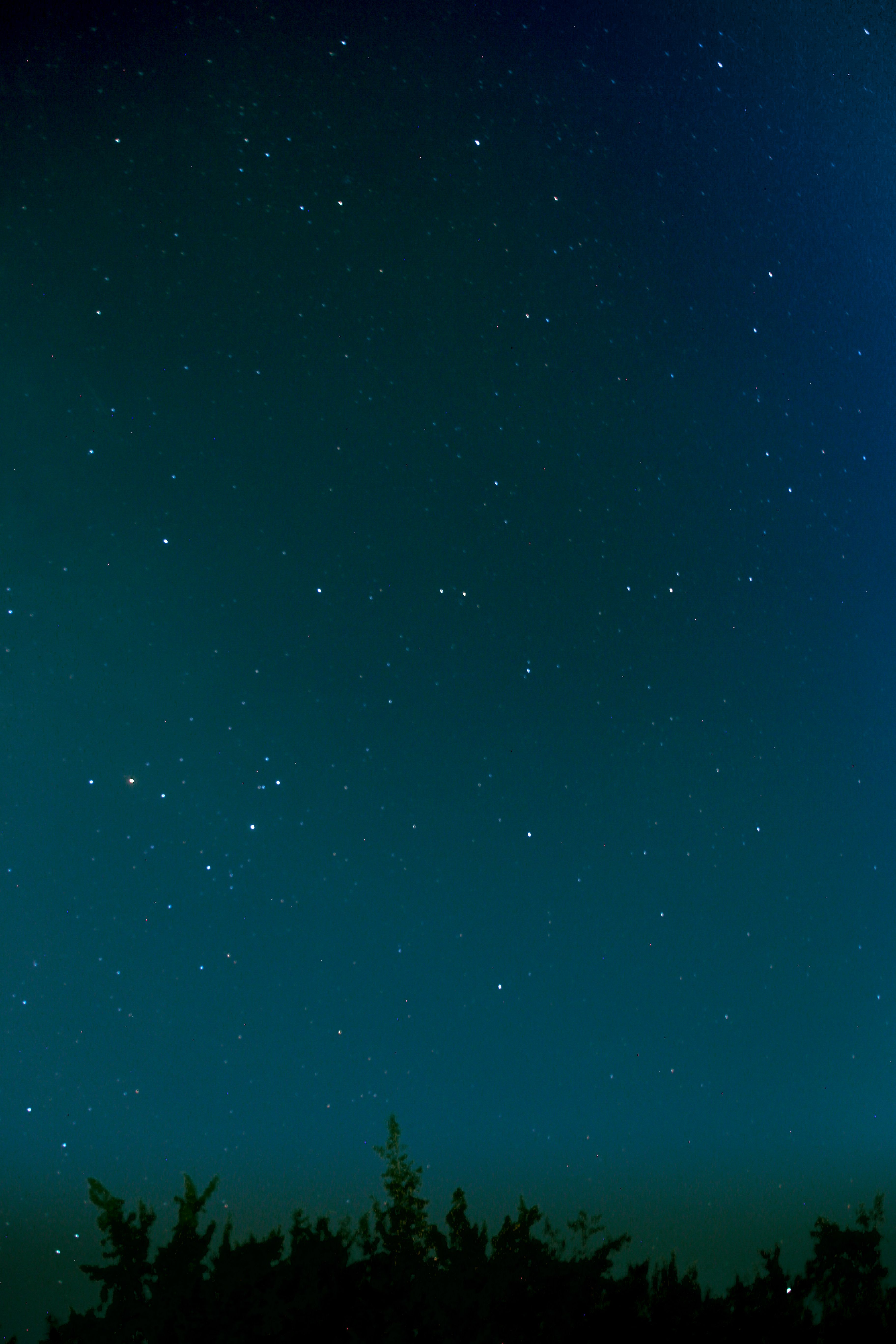 Stars in the Sky during Night Time · Free Stock Photo