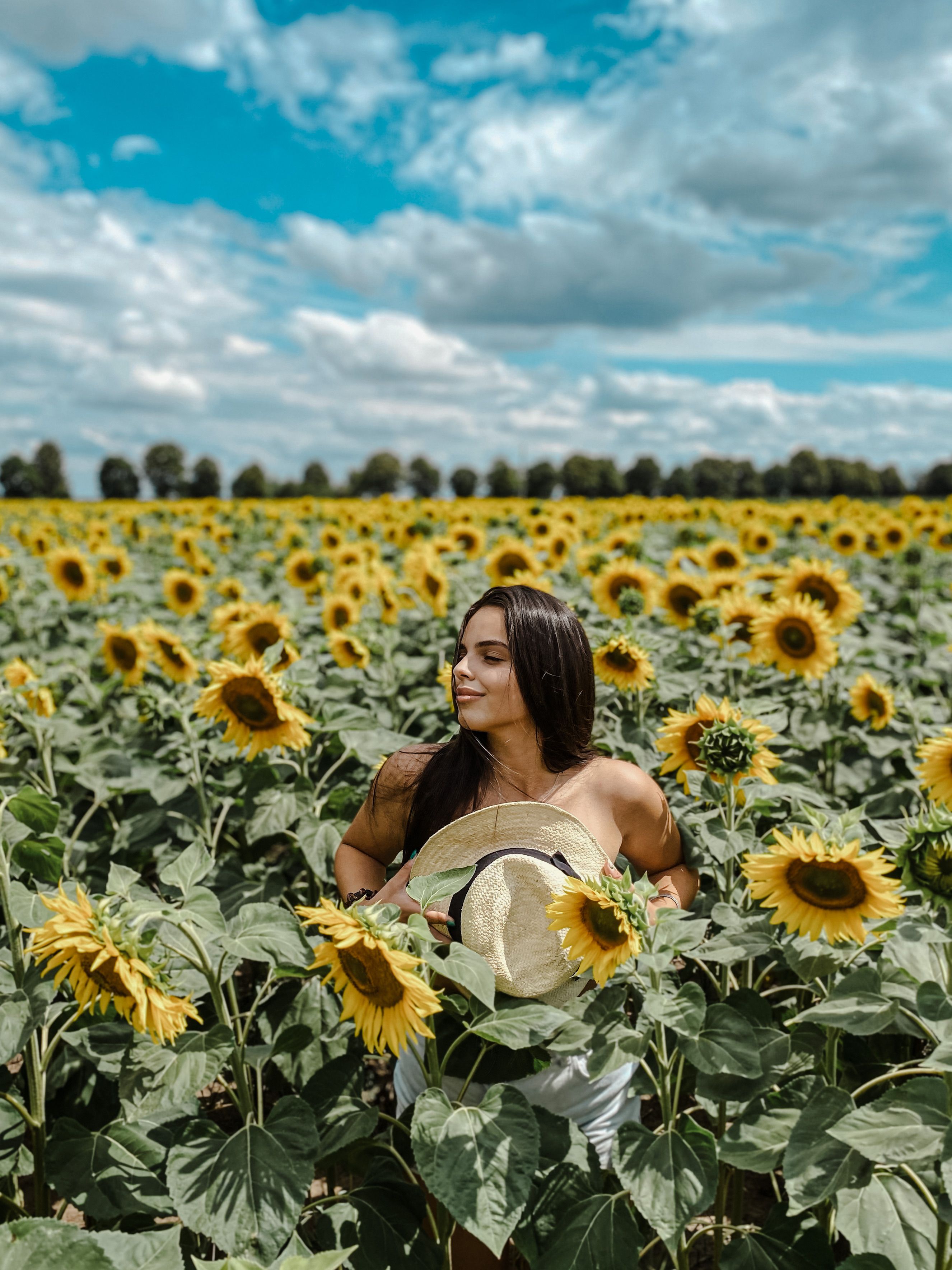 Person Standing on Sunflower Field · Free Stock Photo
