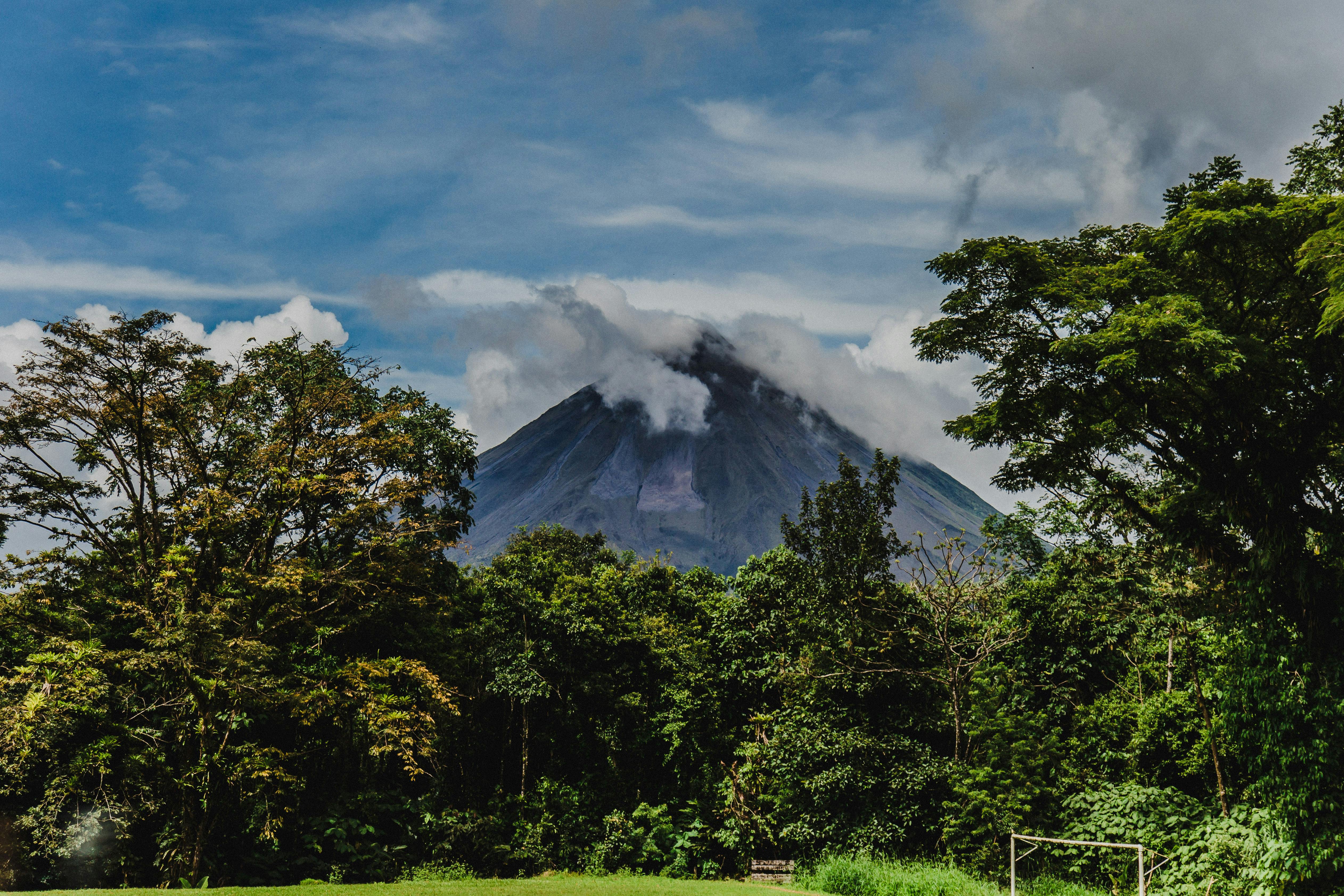 Green Trees Covering the Volcano · Free Stock Photo