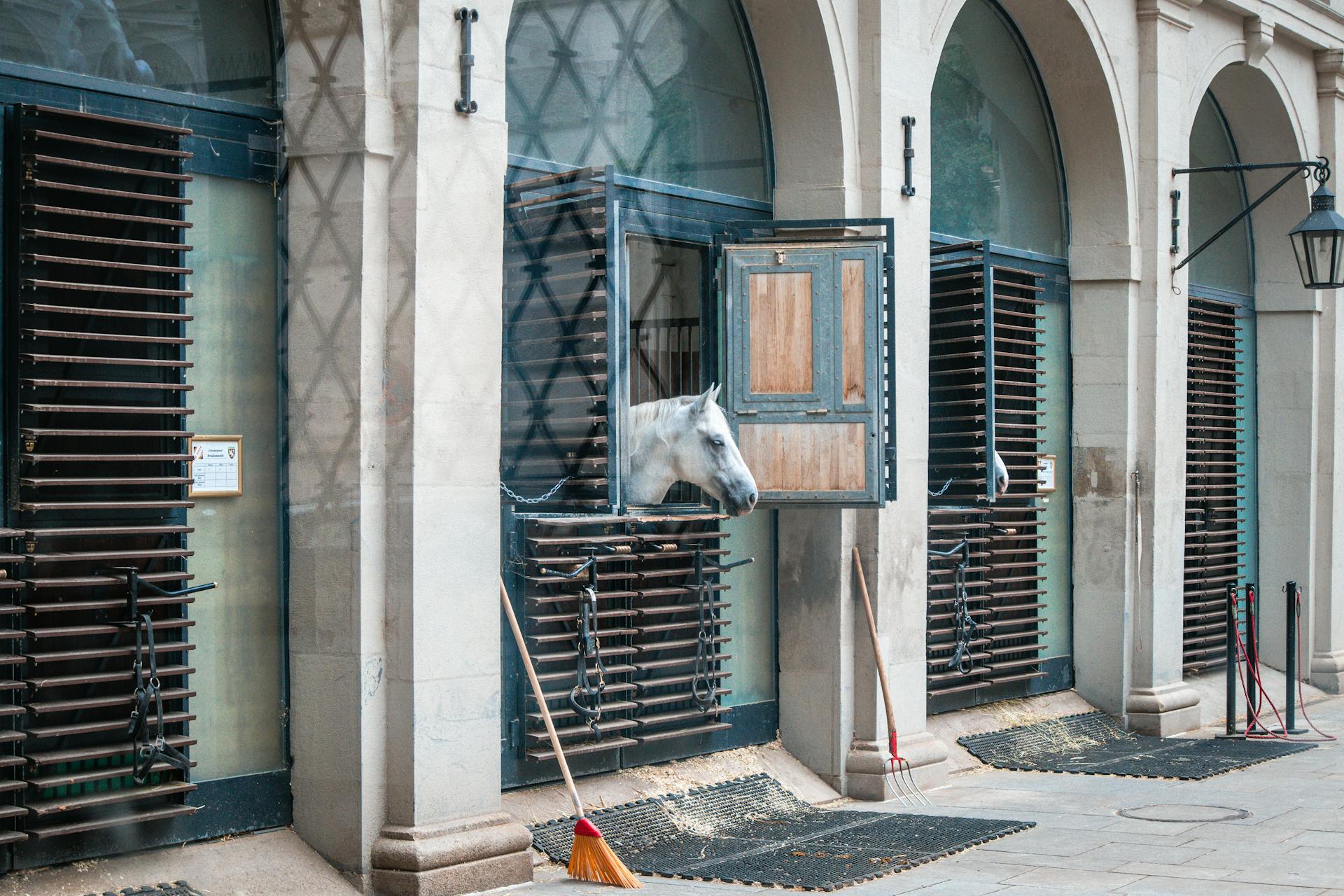 Revolutionizing Equine Industry: The Rise of Cloned Horses