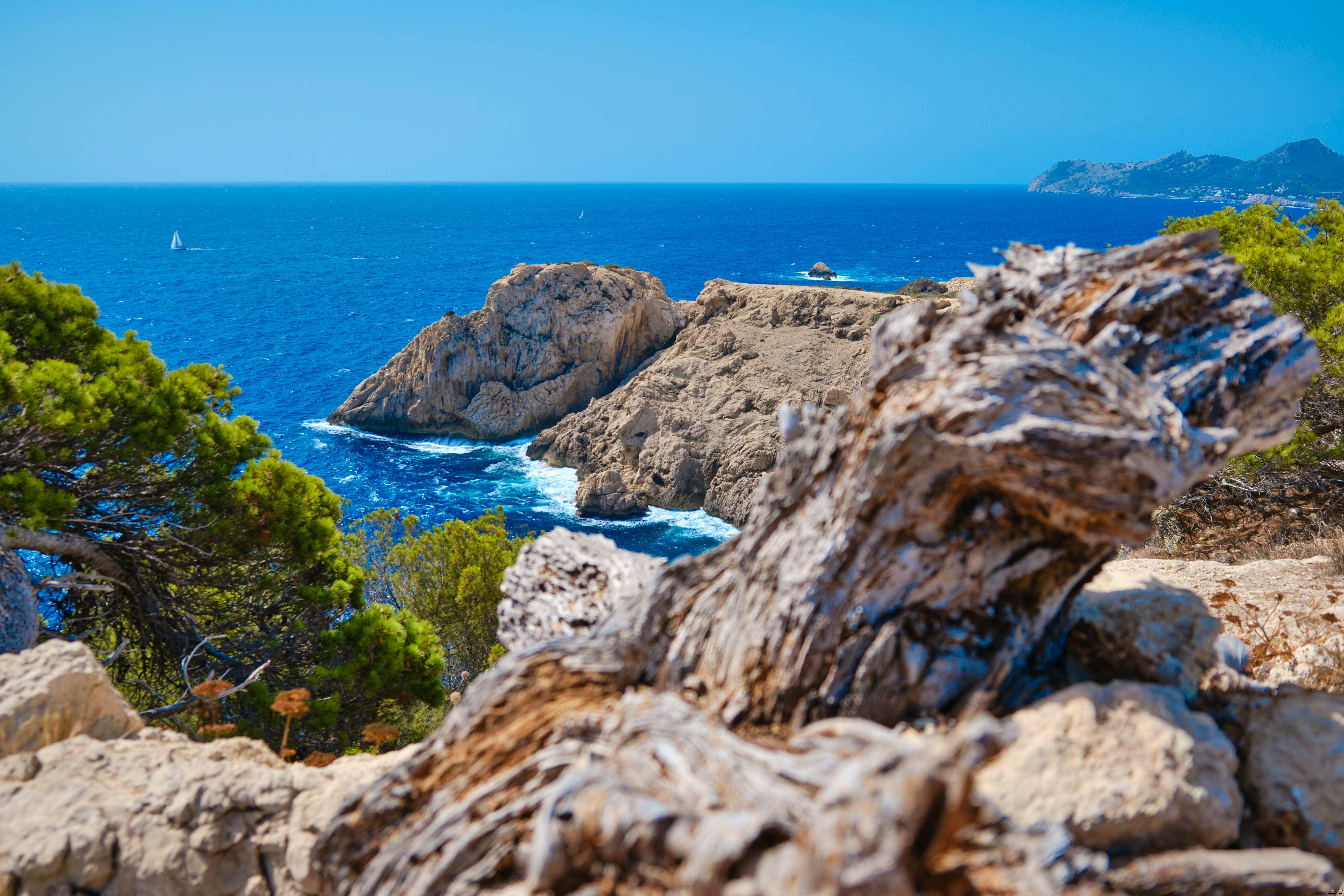 Rocks on Sea Shore · Free Stock Photo