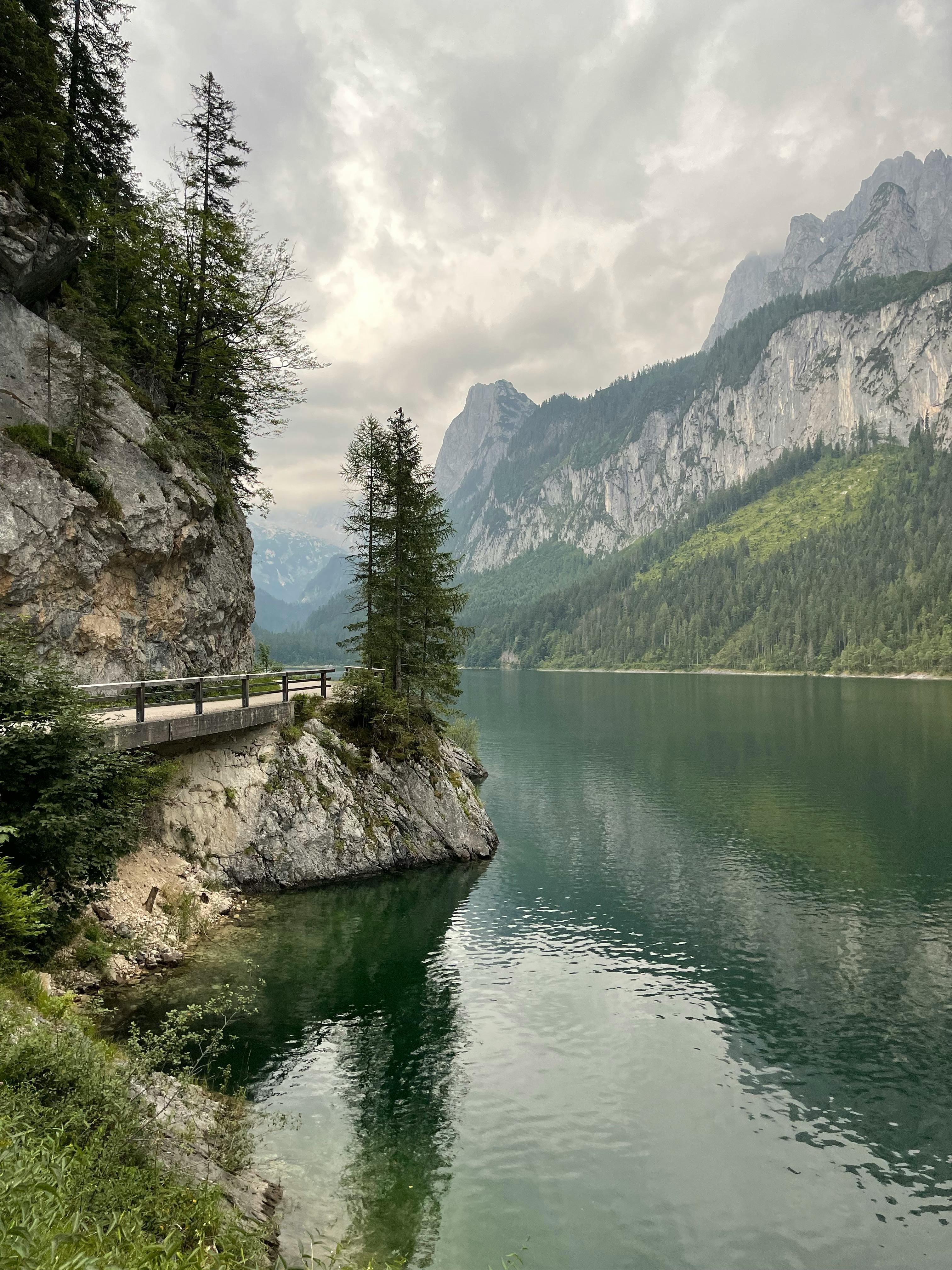 A Green Trees Near the Body of Water Under the Blue Sky and White ...