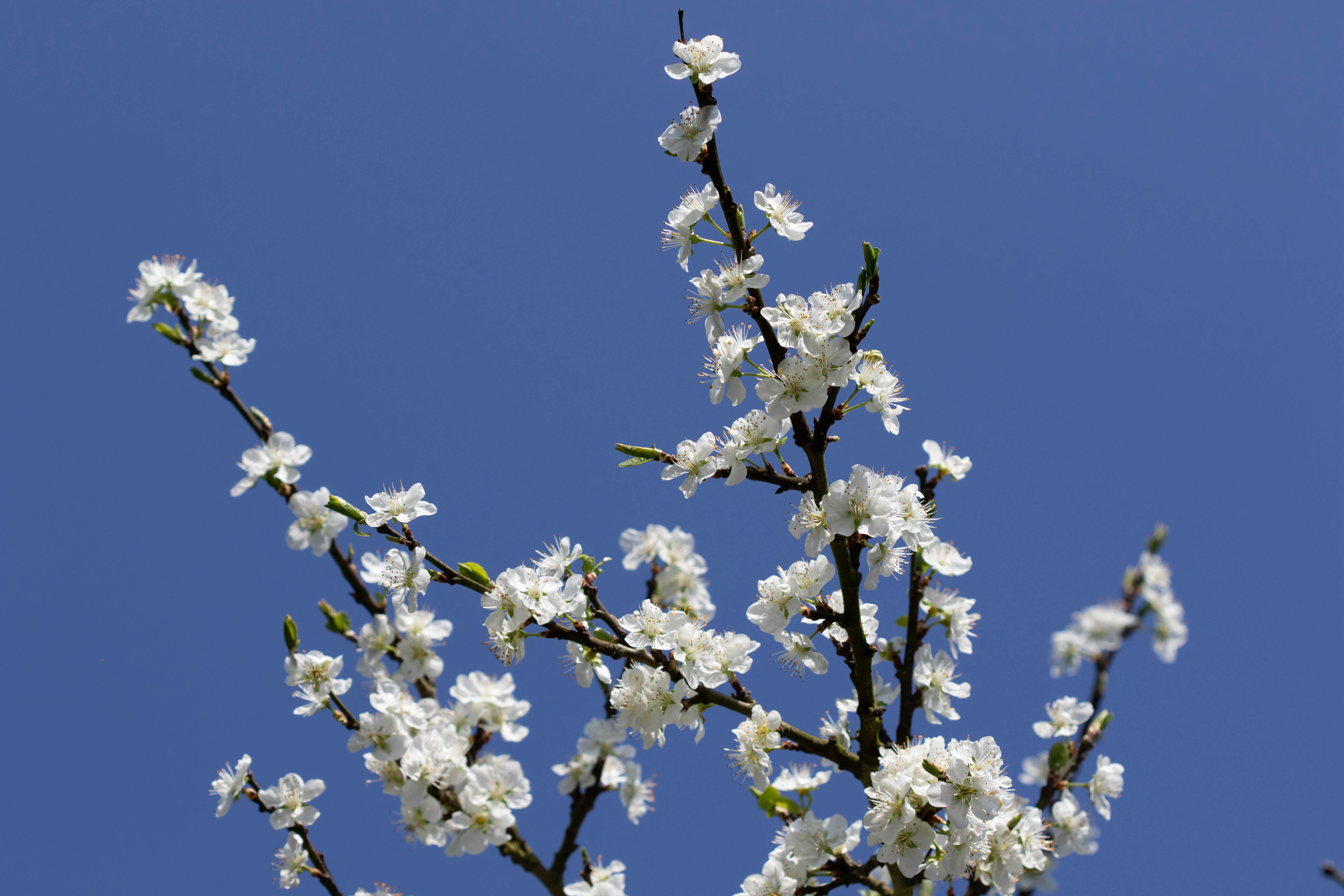 David Floyd - Photography