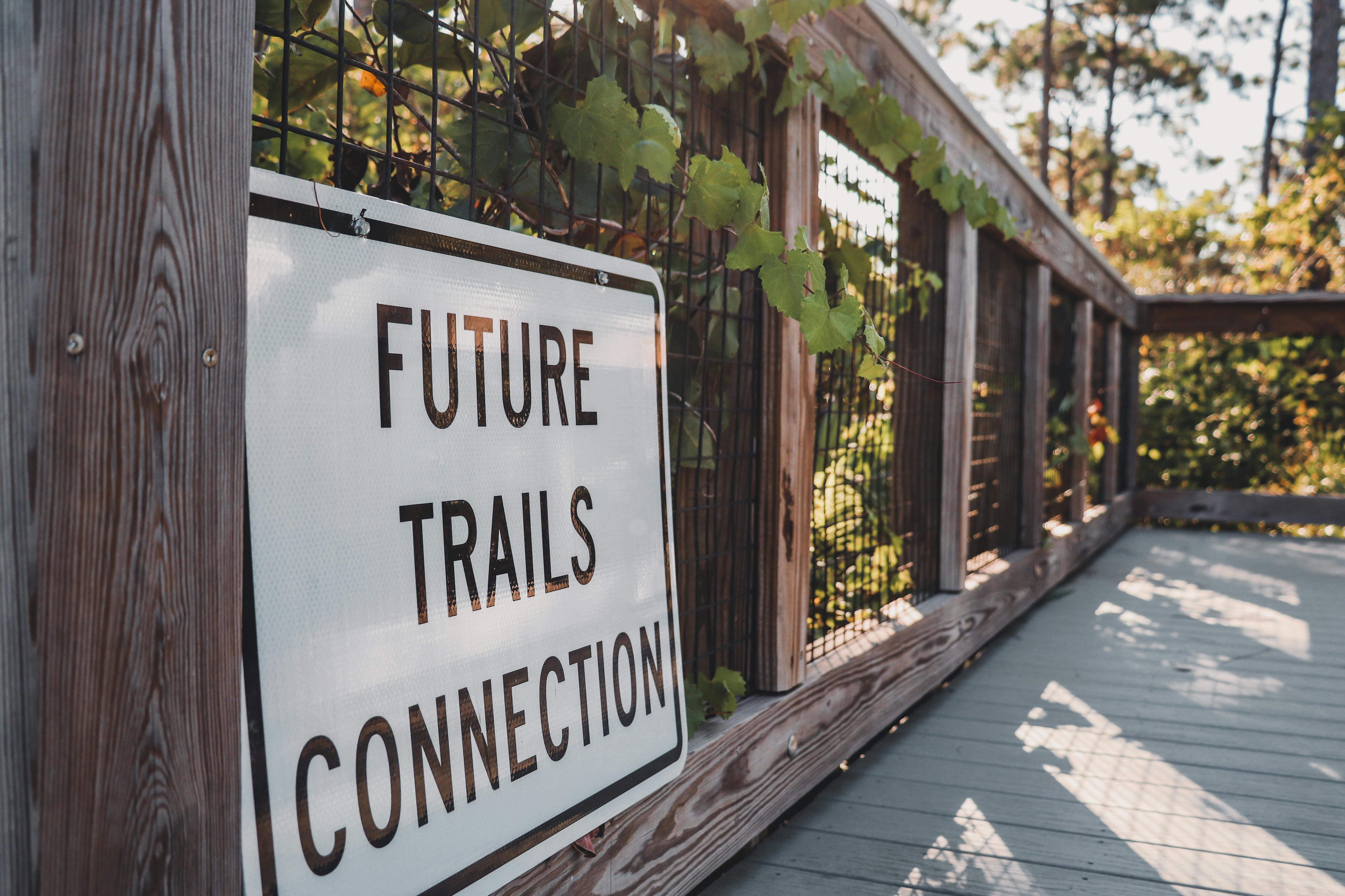 Hailey Shea - Photography