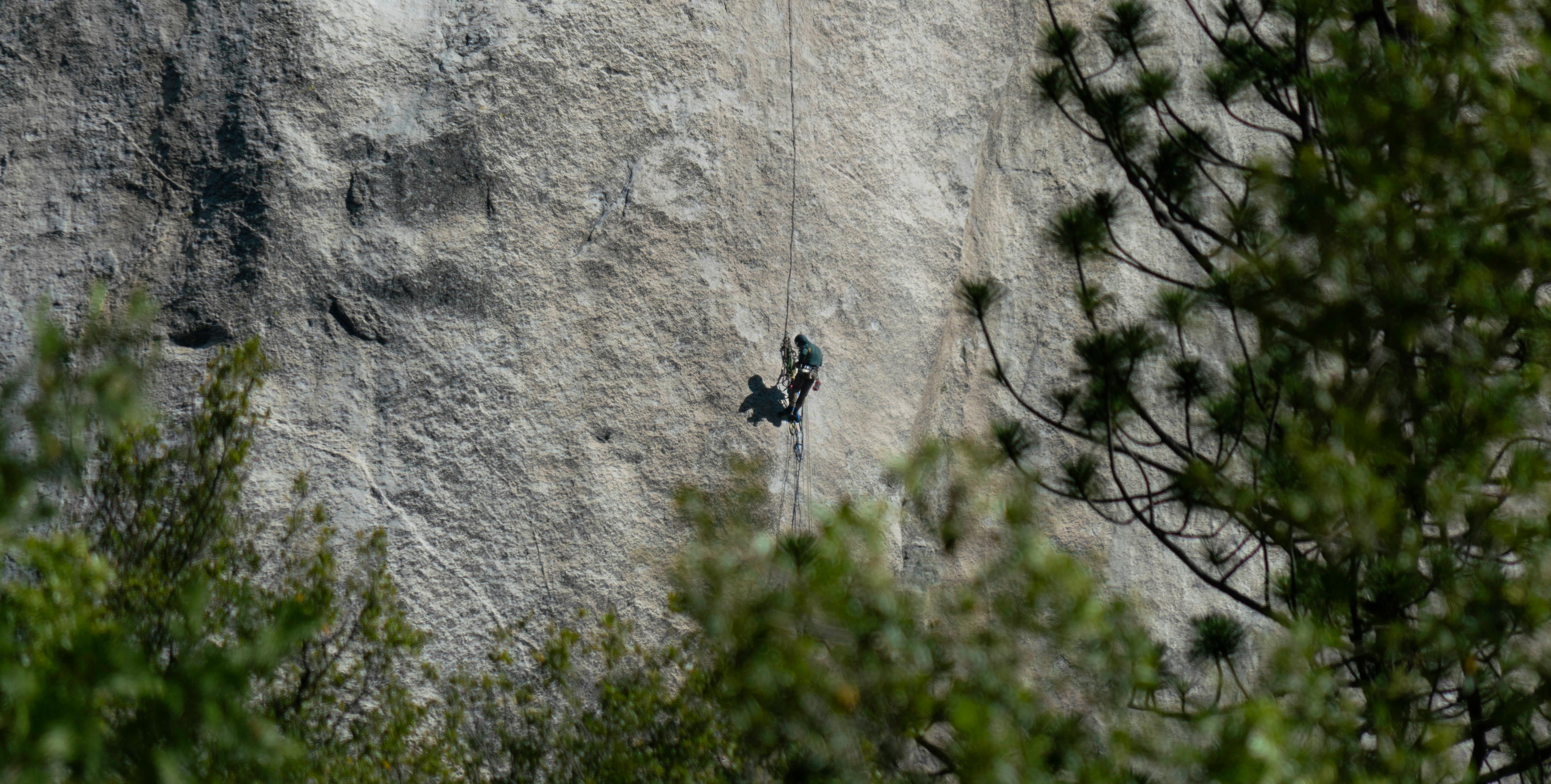 Rock Climbing behind Trees · Free Stock Photo