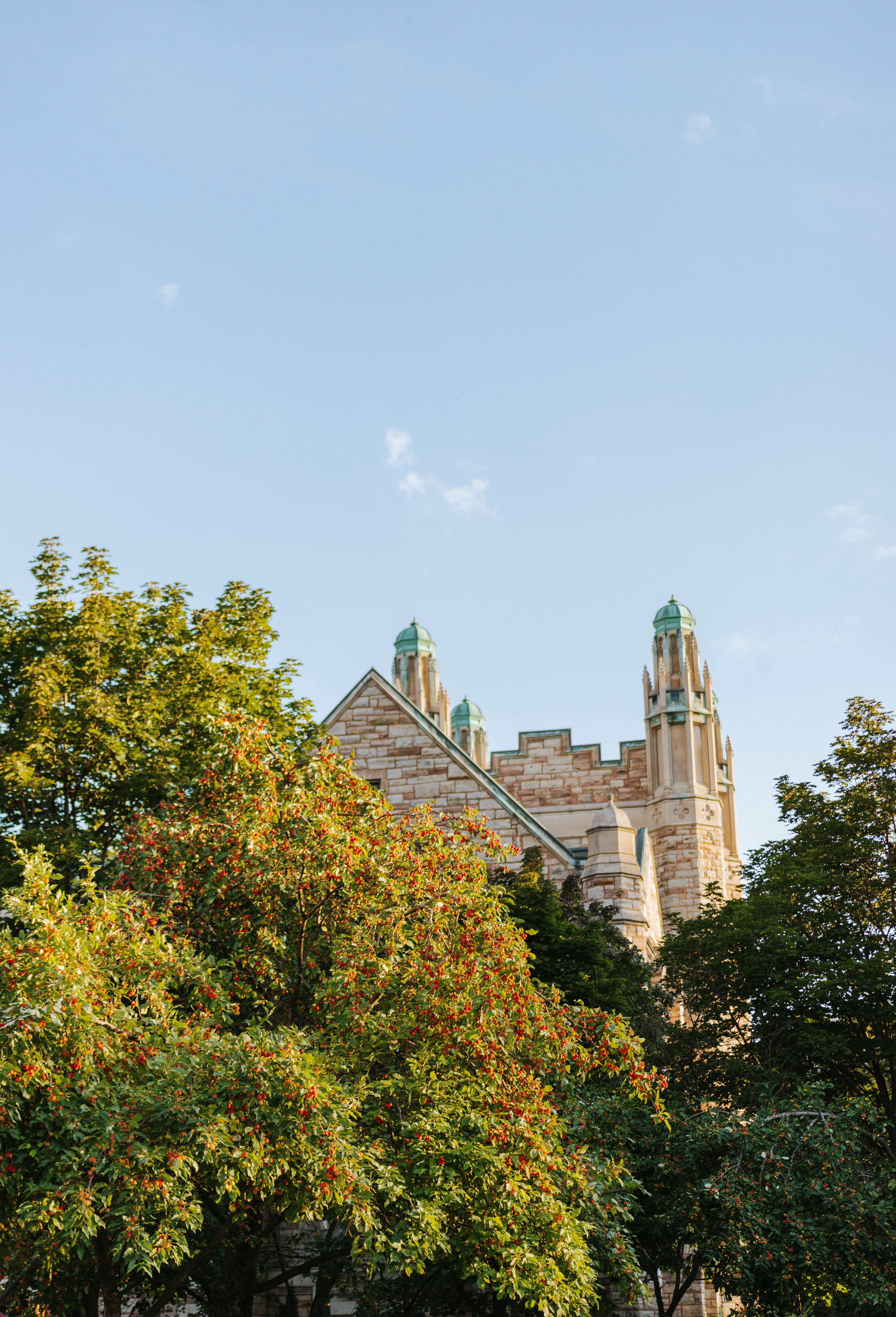 Green Trees Covering the Brick Building · Free Stock Photo
