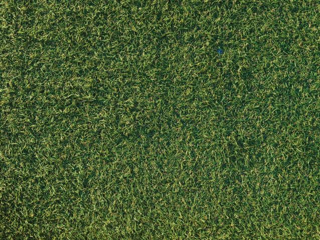 Edging for Fake Grass: Types, Installation, and Easy Ideas