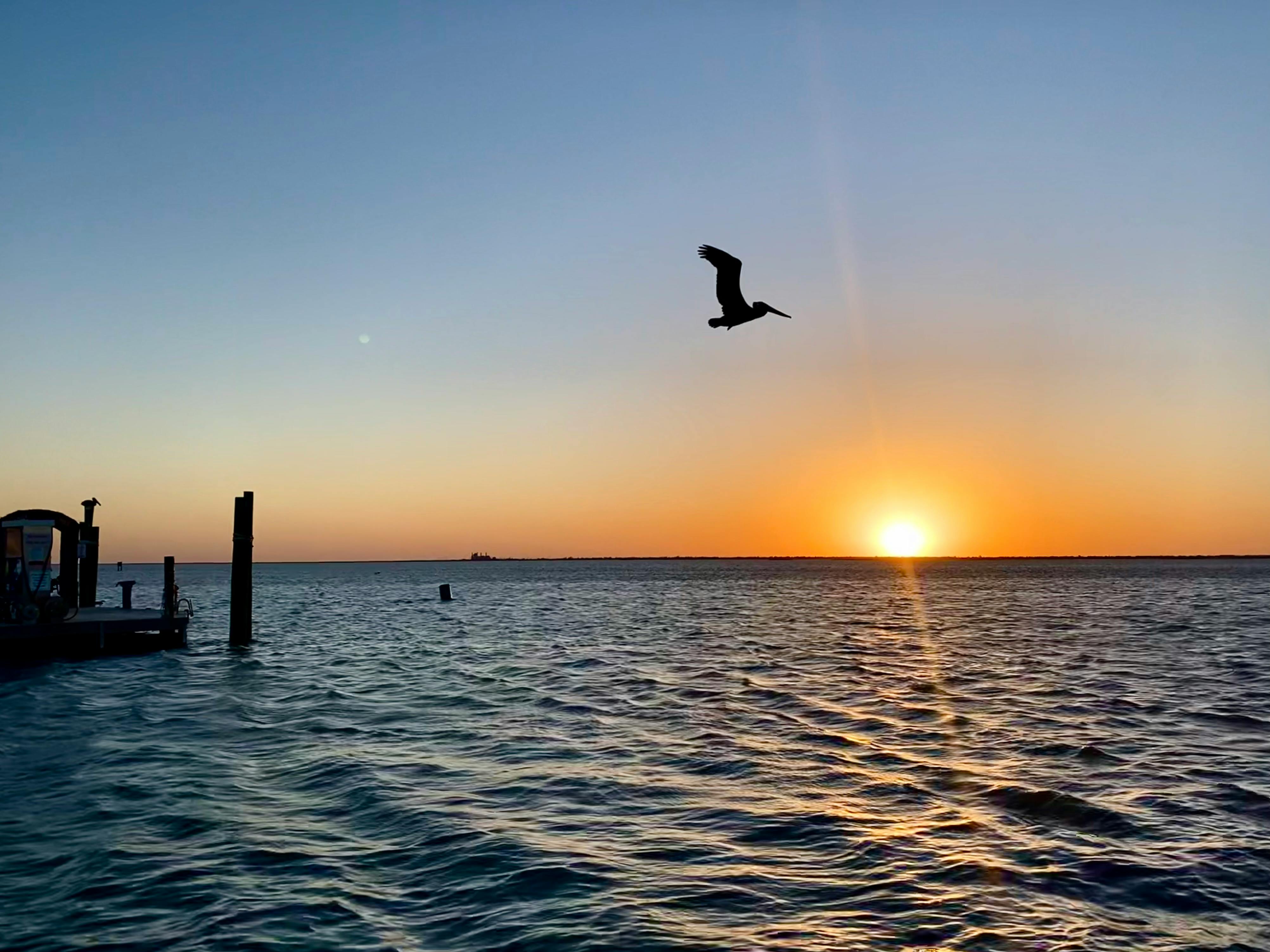 Shelby Cox - Fotografía