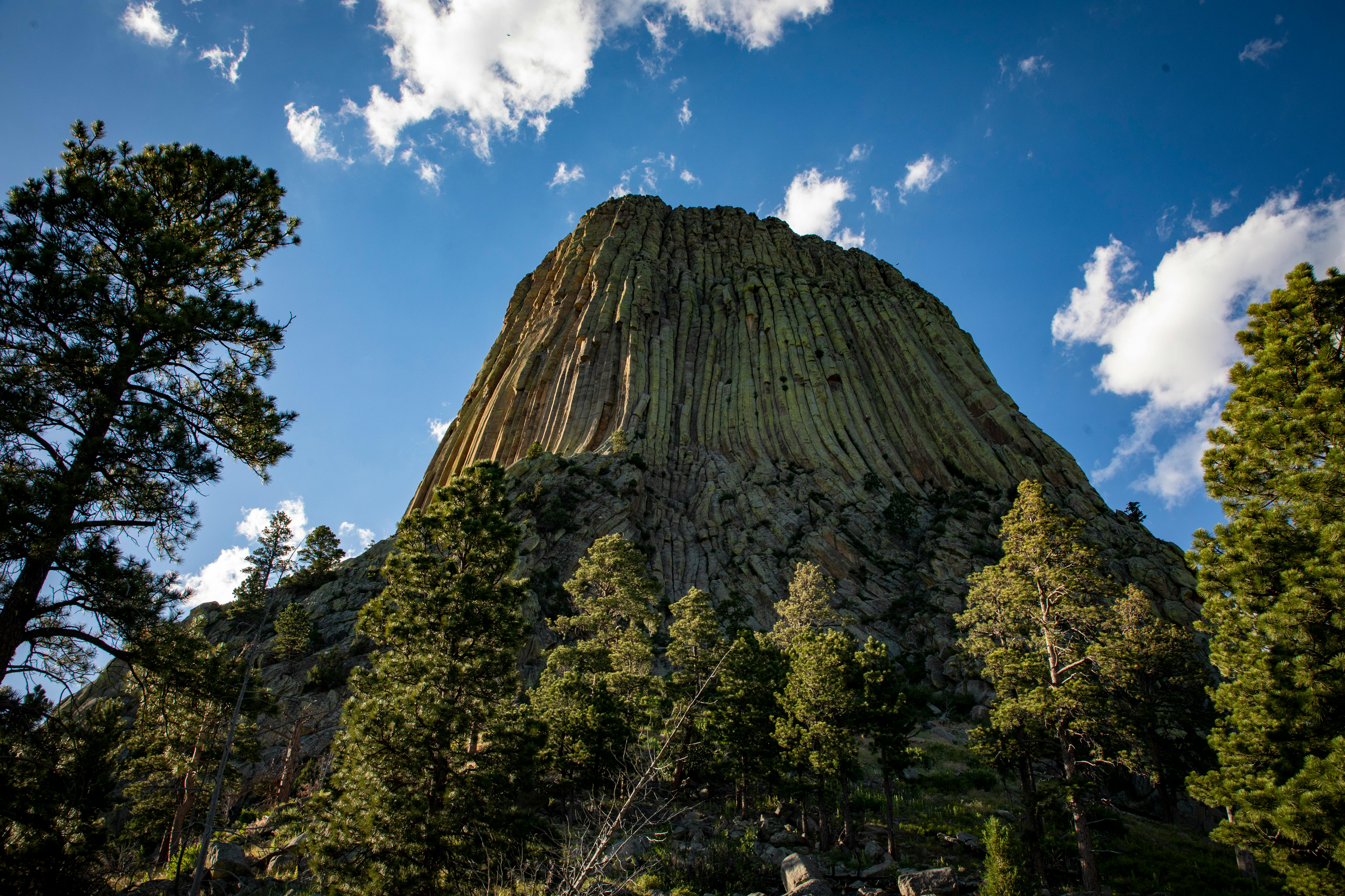 Green Trees Near Rock Formation · Free Stock Photo