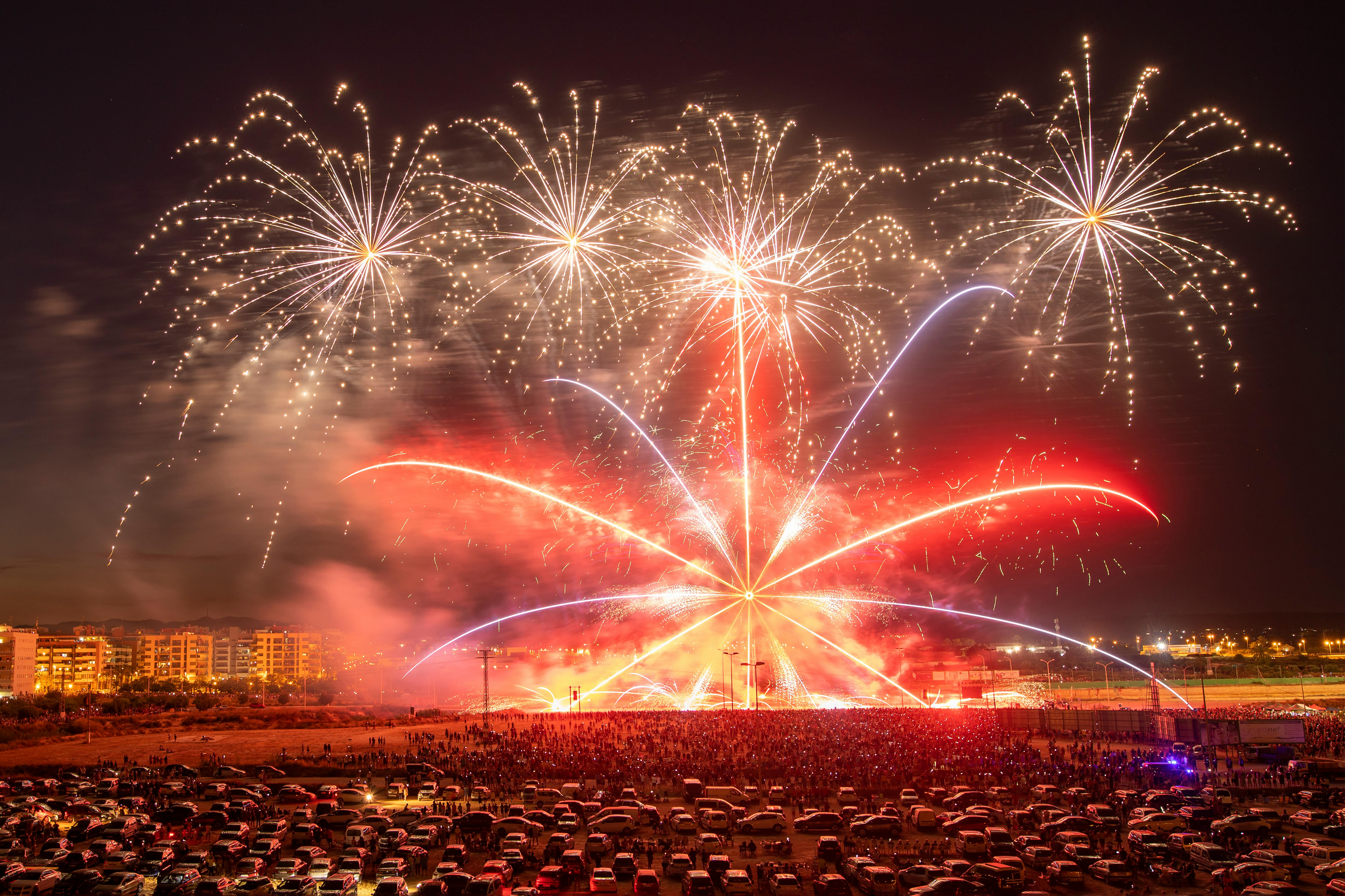 A Fireworks Display at a Park · Free Stock Photo