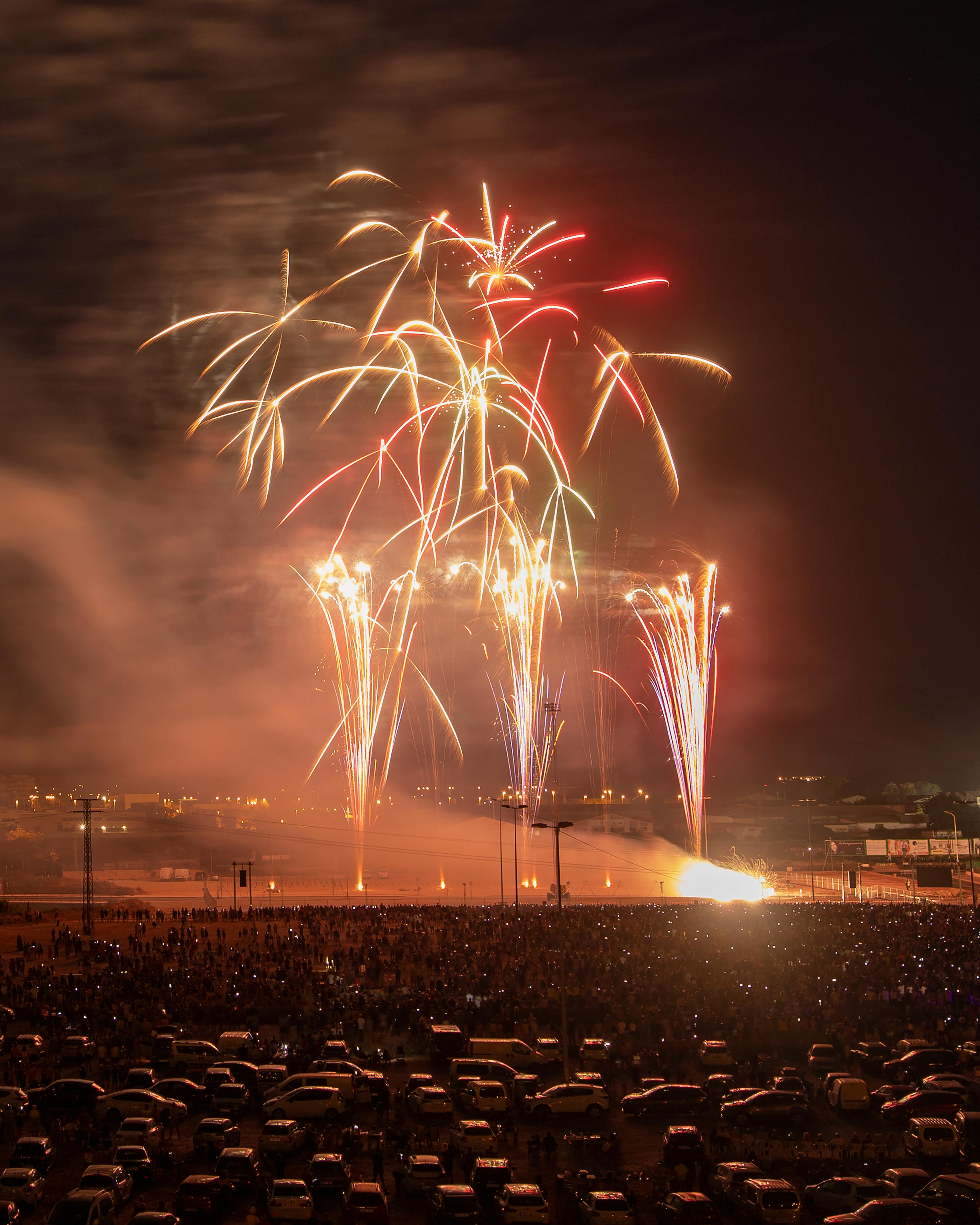 A Fireworks Display at Night · Free Stock Photo