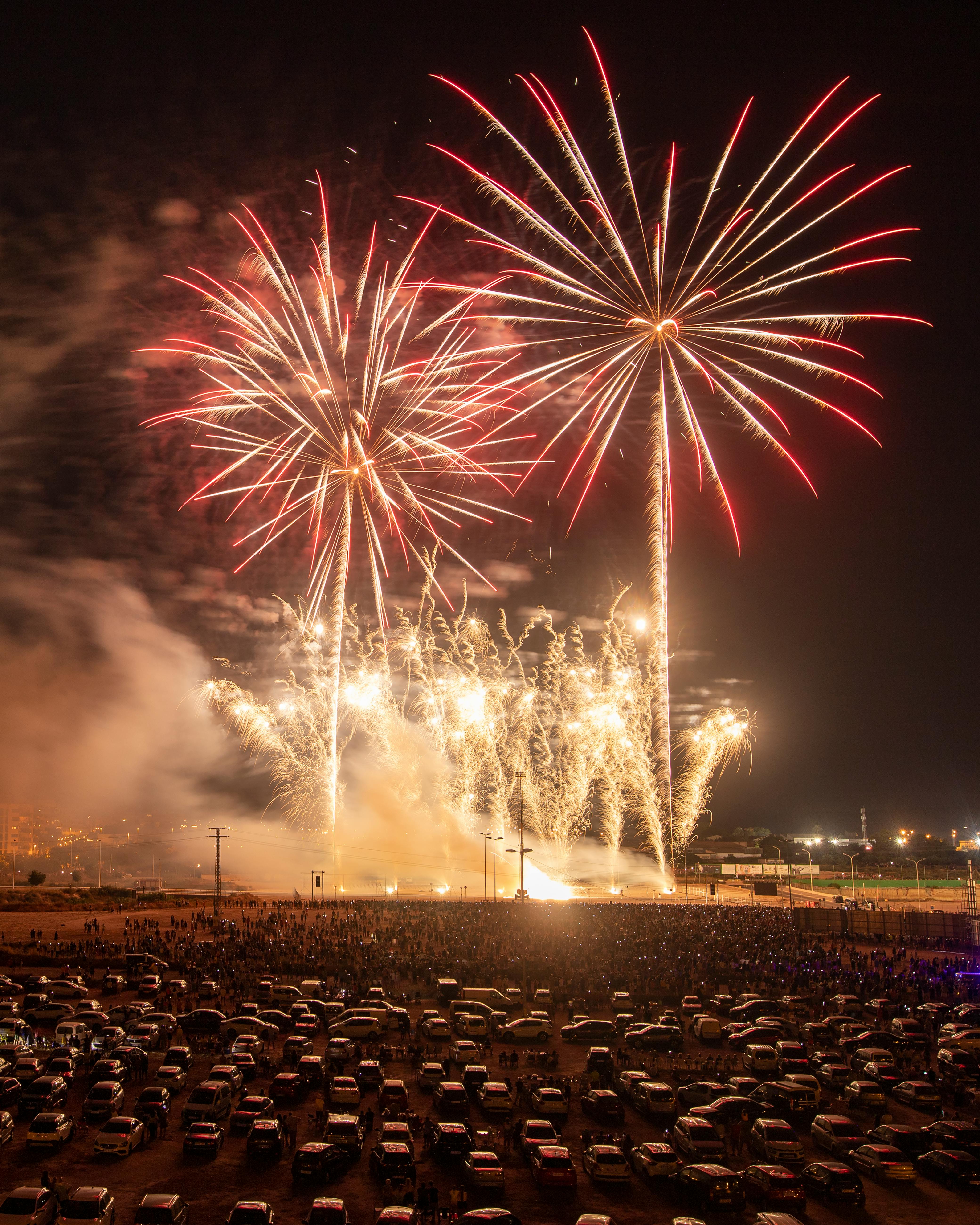 Fireworks Show at Night · Free Stock Photo