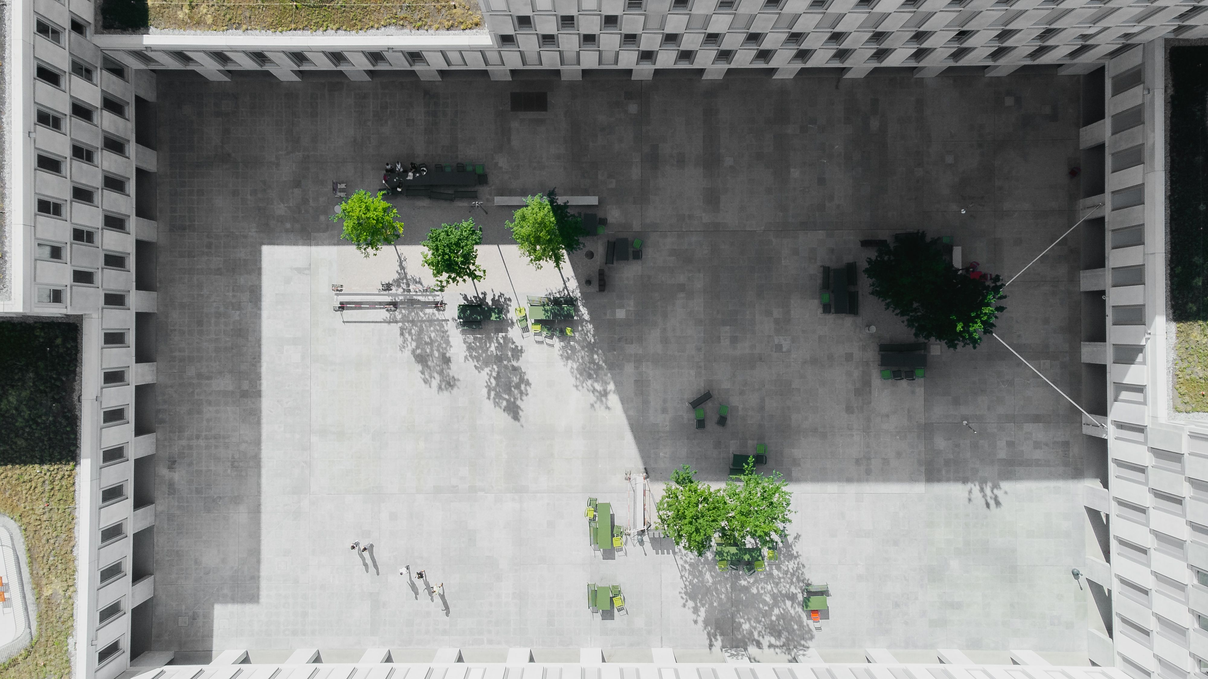 Trees Growing in Yard on Concrete Buildings · Free Stock Photo