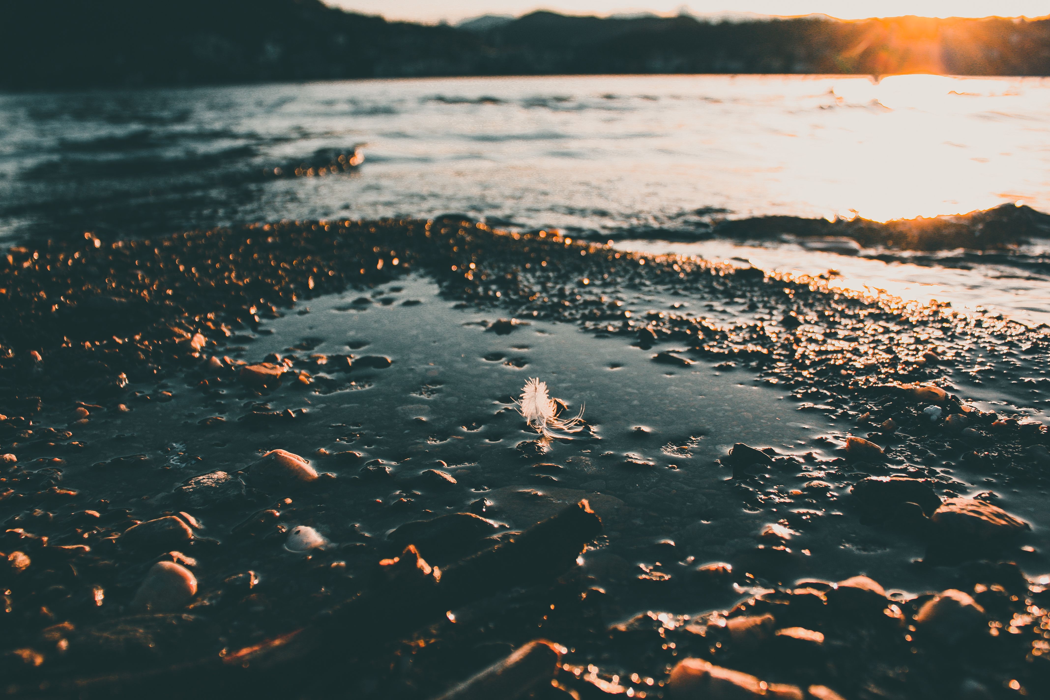 Beach at Dawn · Free Stock Photo