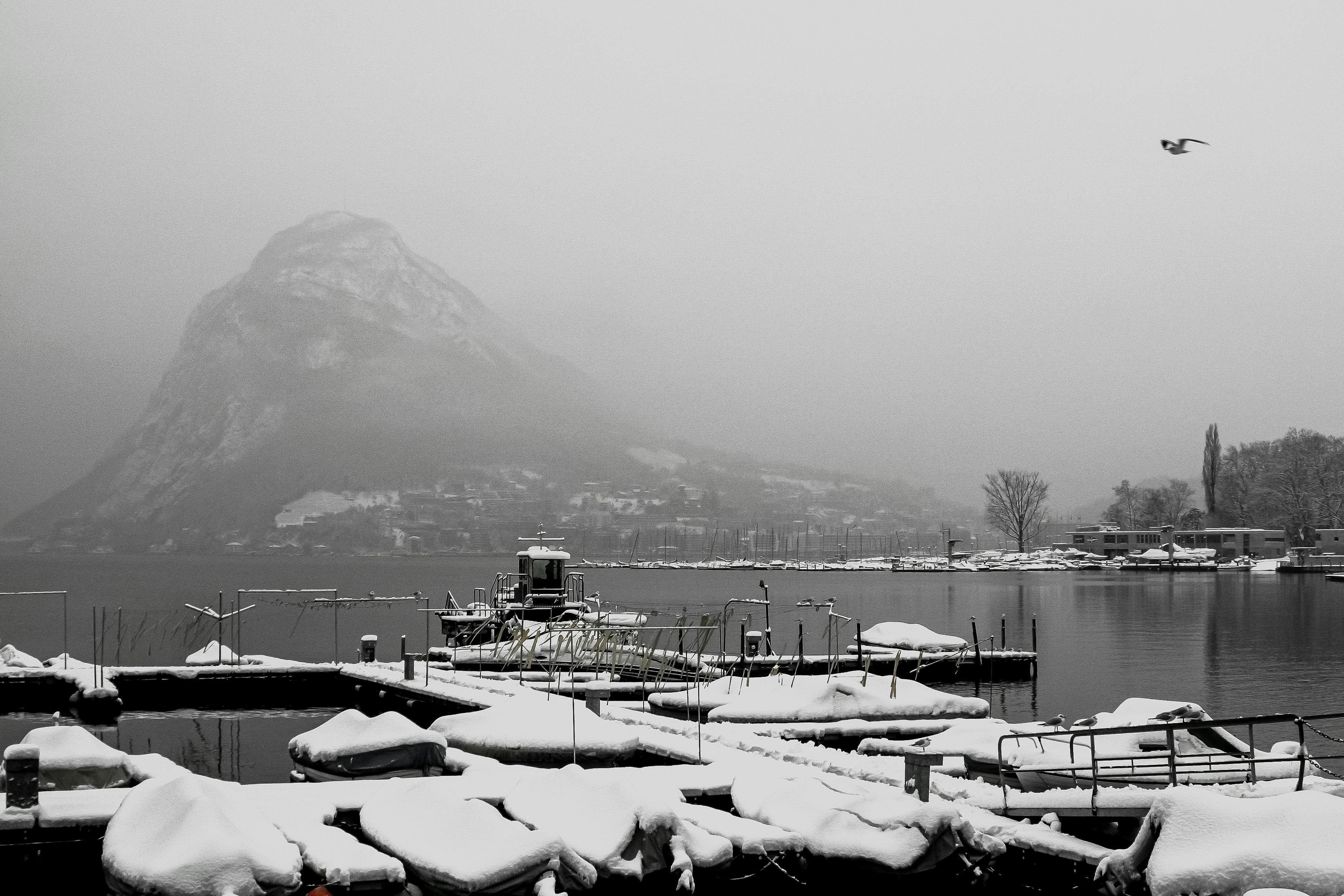 Port in Snow and Fog · Free Stock Photo