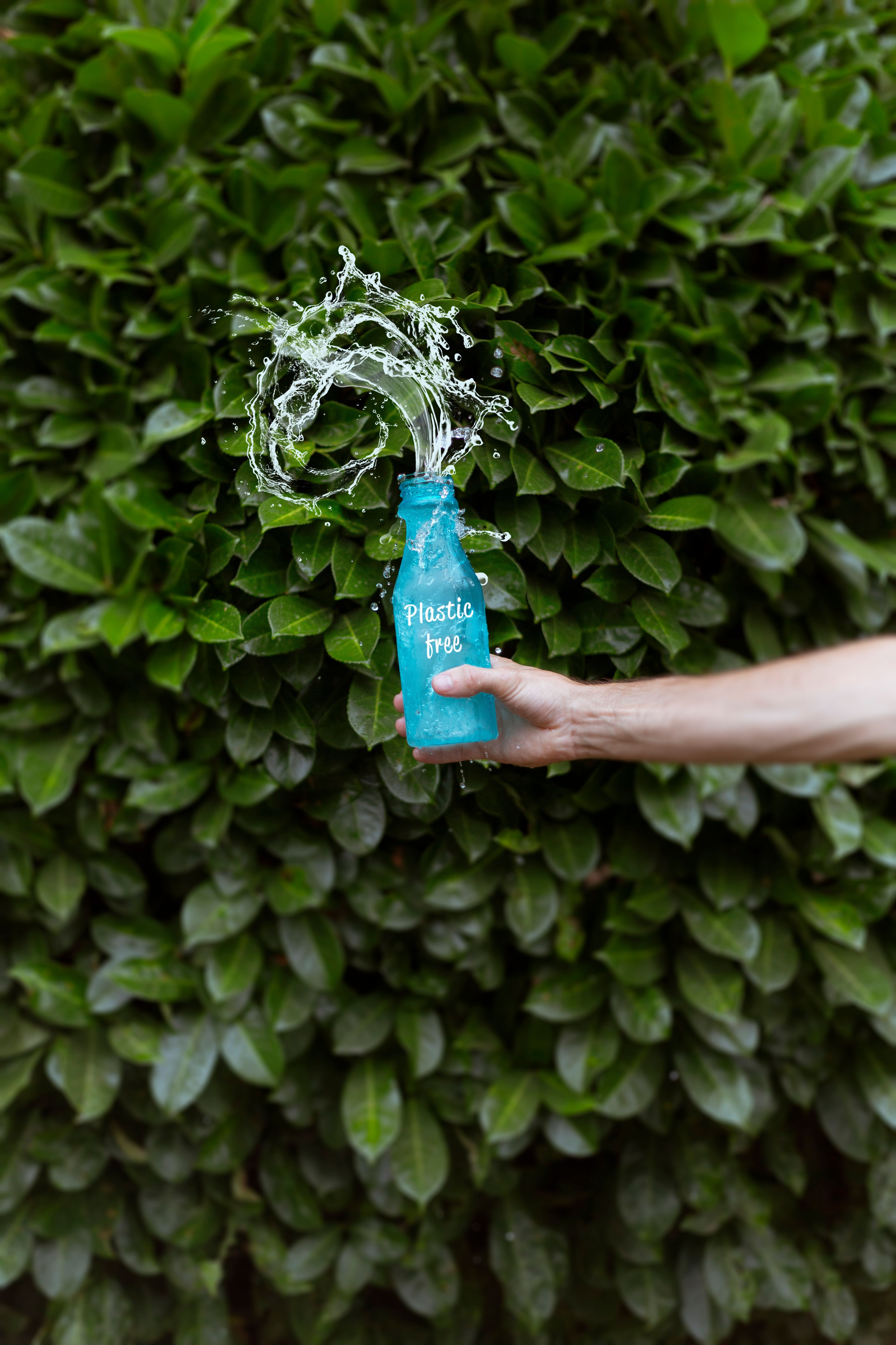 Person Holding a Blue Bottle · Free Stock Photo