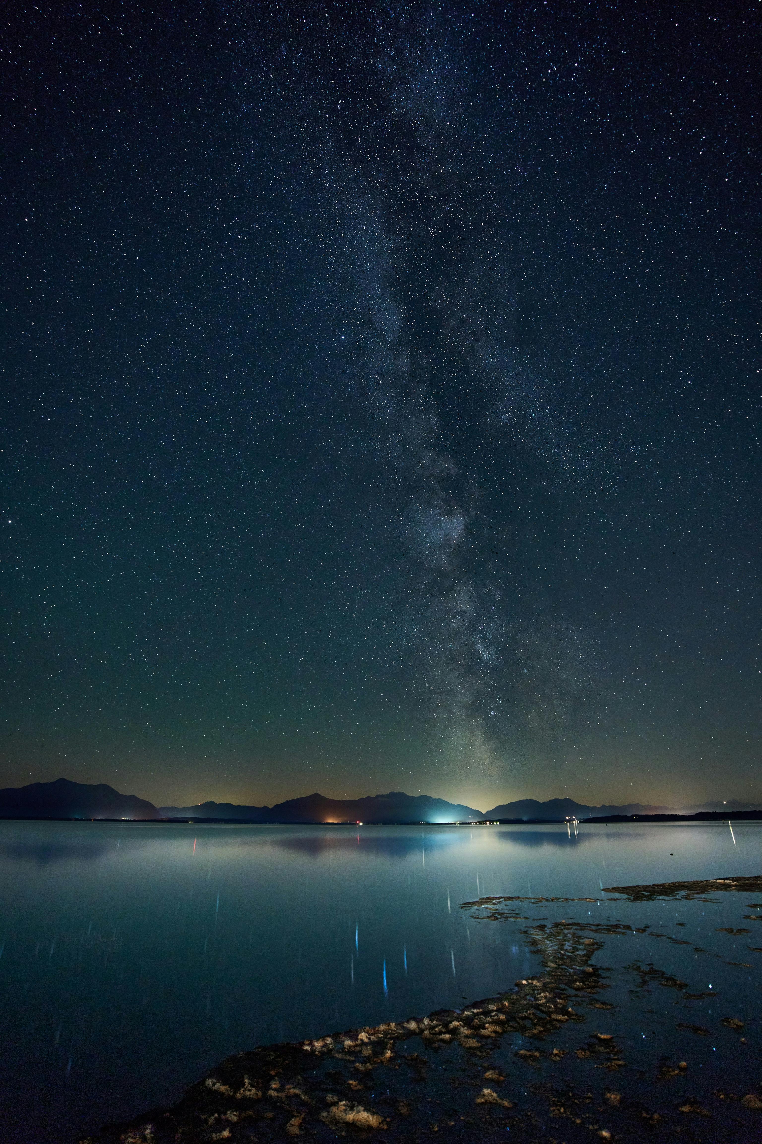 Mud Star Photos, Download Free Mud Star Stock Photos & HD Images