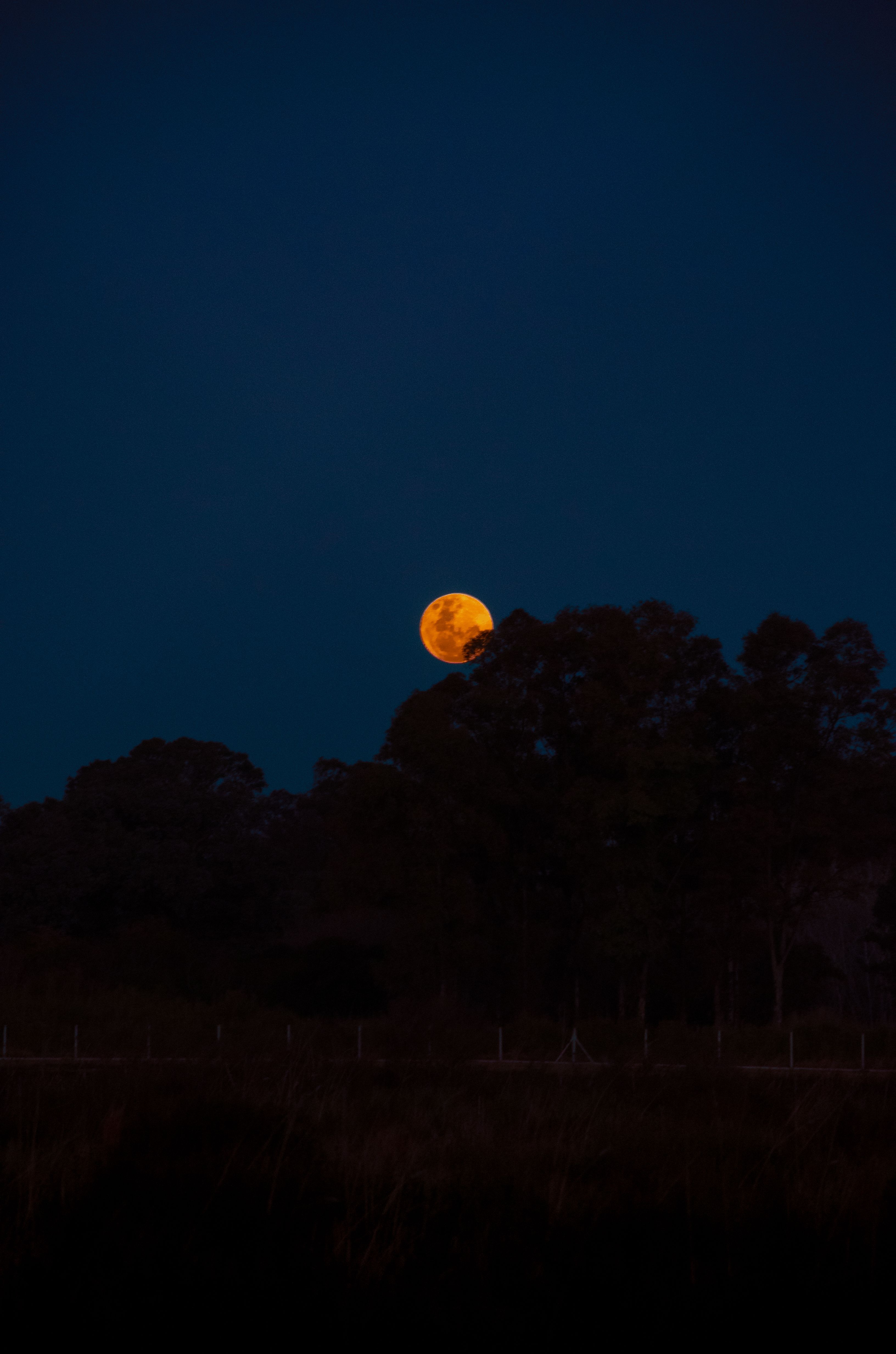 Full Moon over Mountain Peak · Free Stock Photo