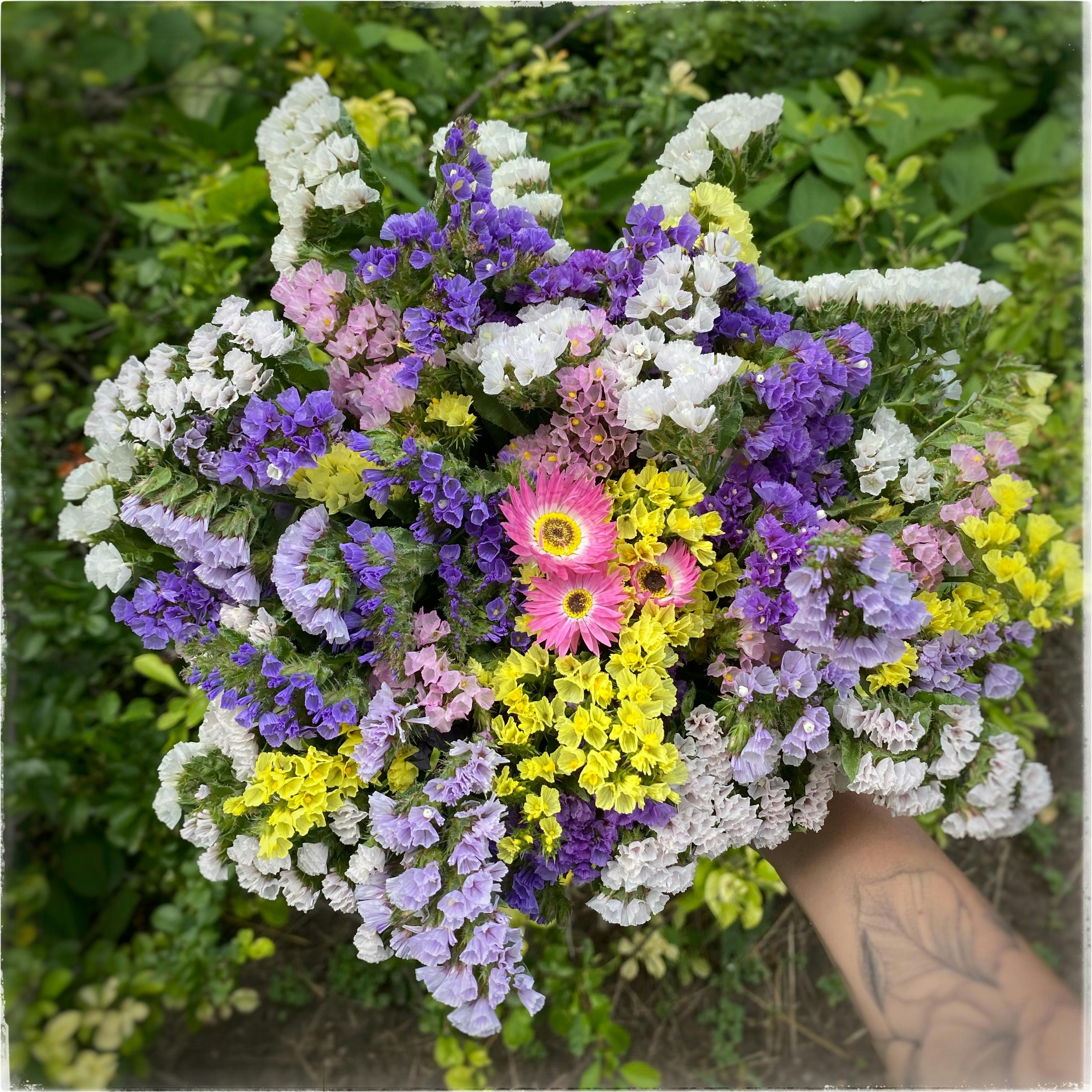 YULIIA KOLIADA - Photography