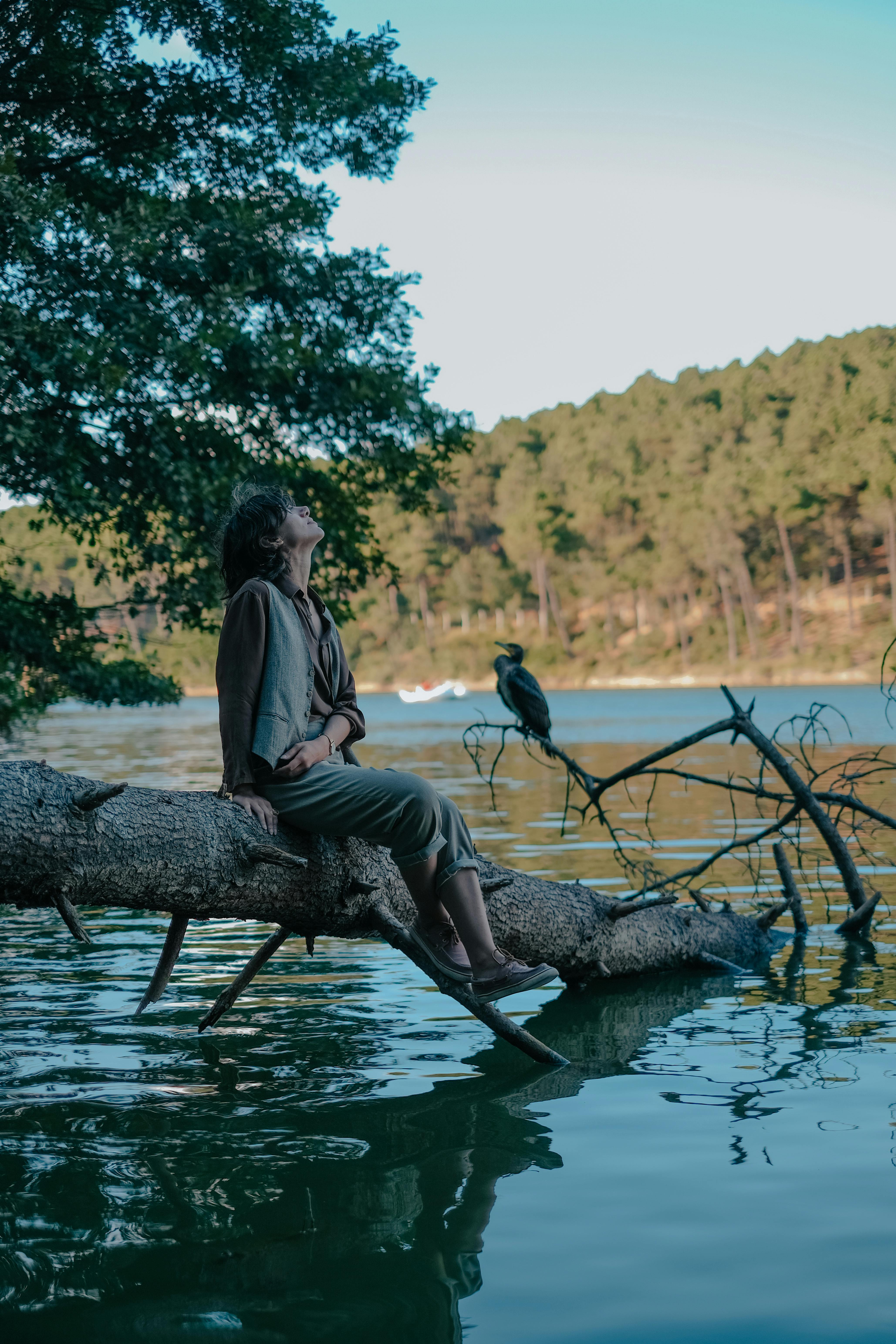 Man Sitting on Tree in Water · Free Stock Photo