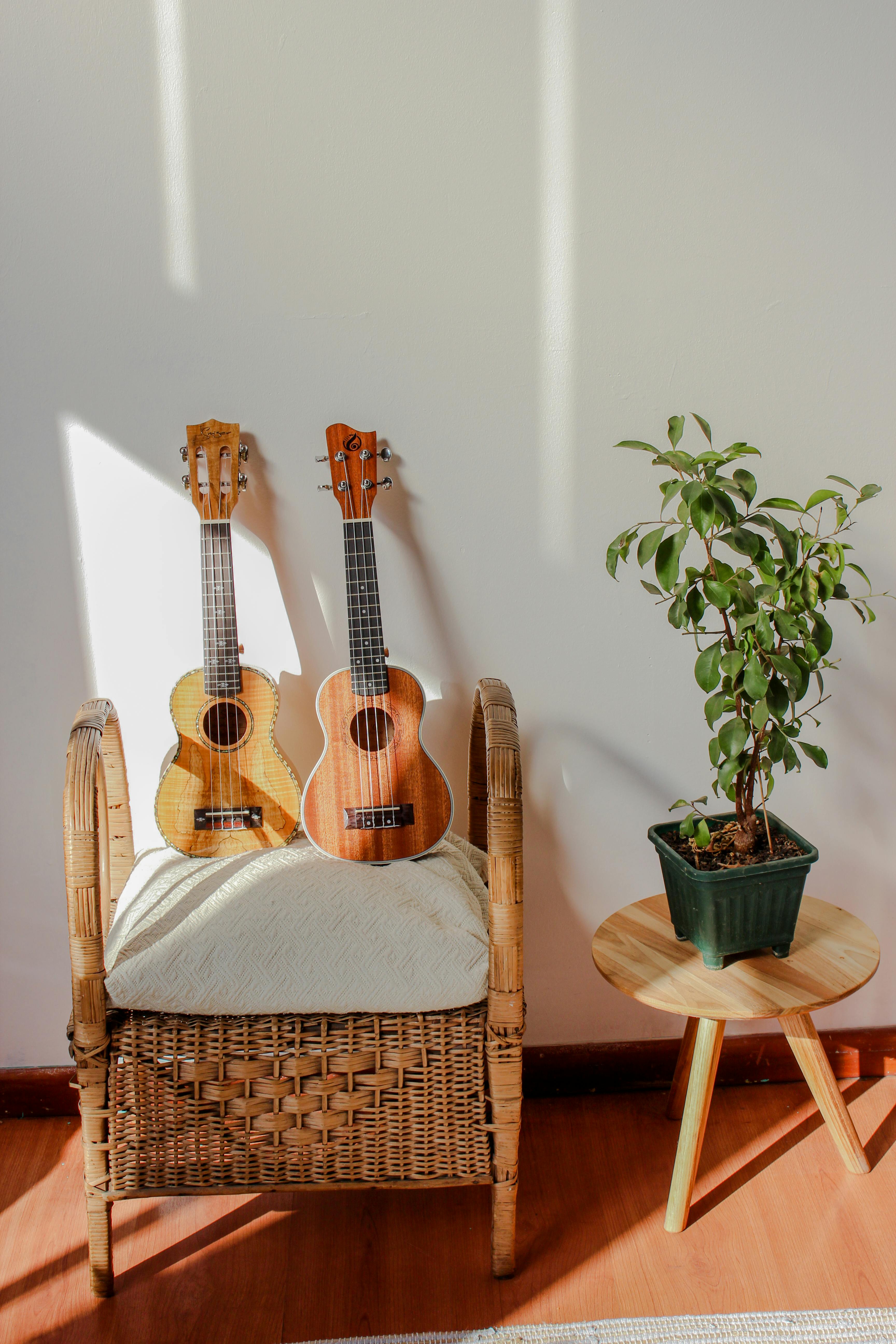 A Stringed Instruments Near the Potted Plant on a Wooden Table · Free ...
