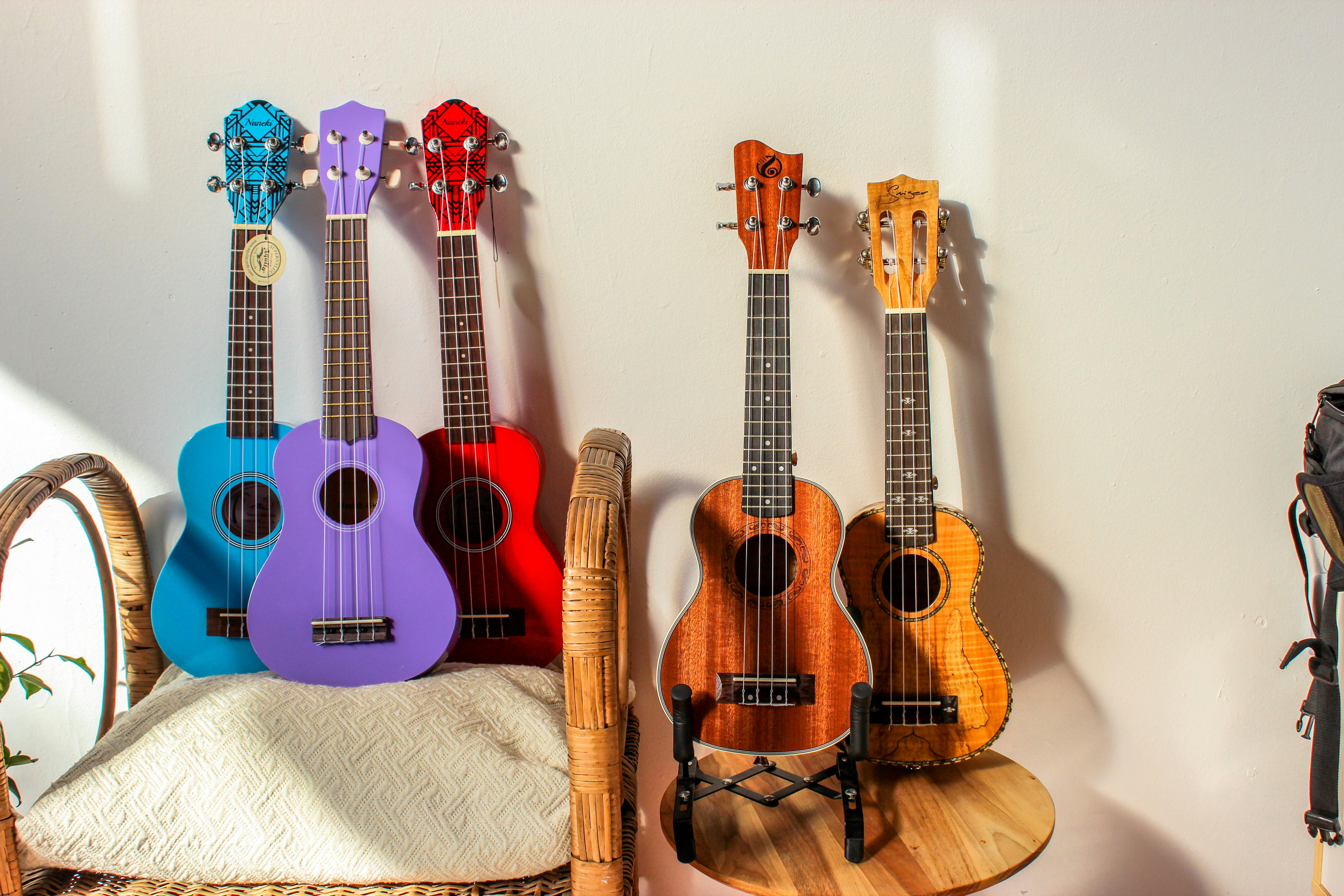 Ukuleles Photos, Download The BEST Free Ukuleles Stock Photos & HD Images
