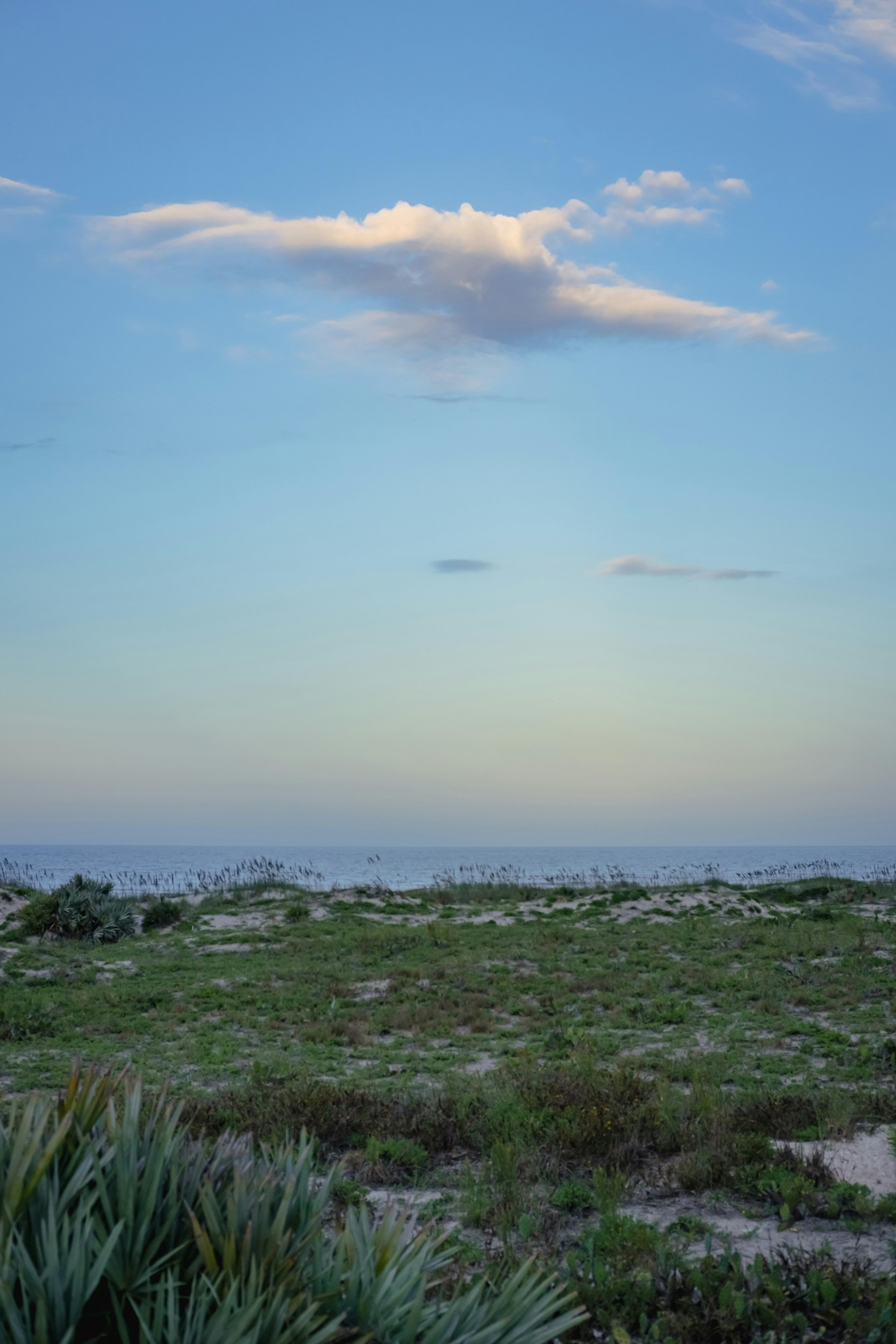 A Green Grass Field Under the Blue Sky and White Clouds · Free Stock Photo