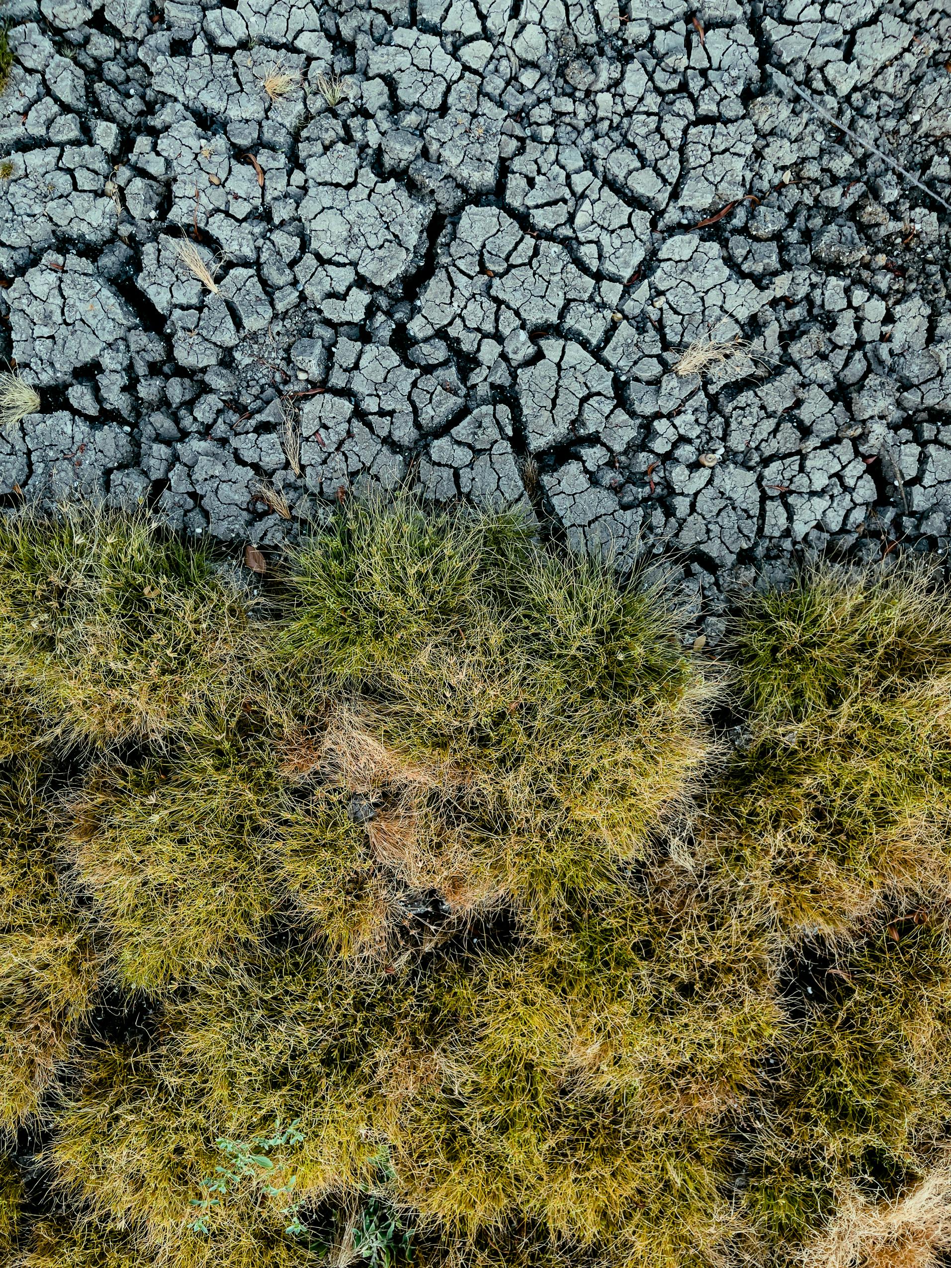 Close-up Shot of Dry Soil · Free Stock Photo