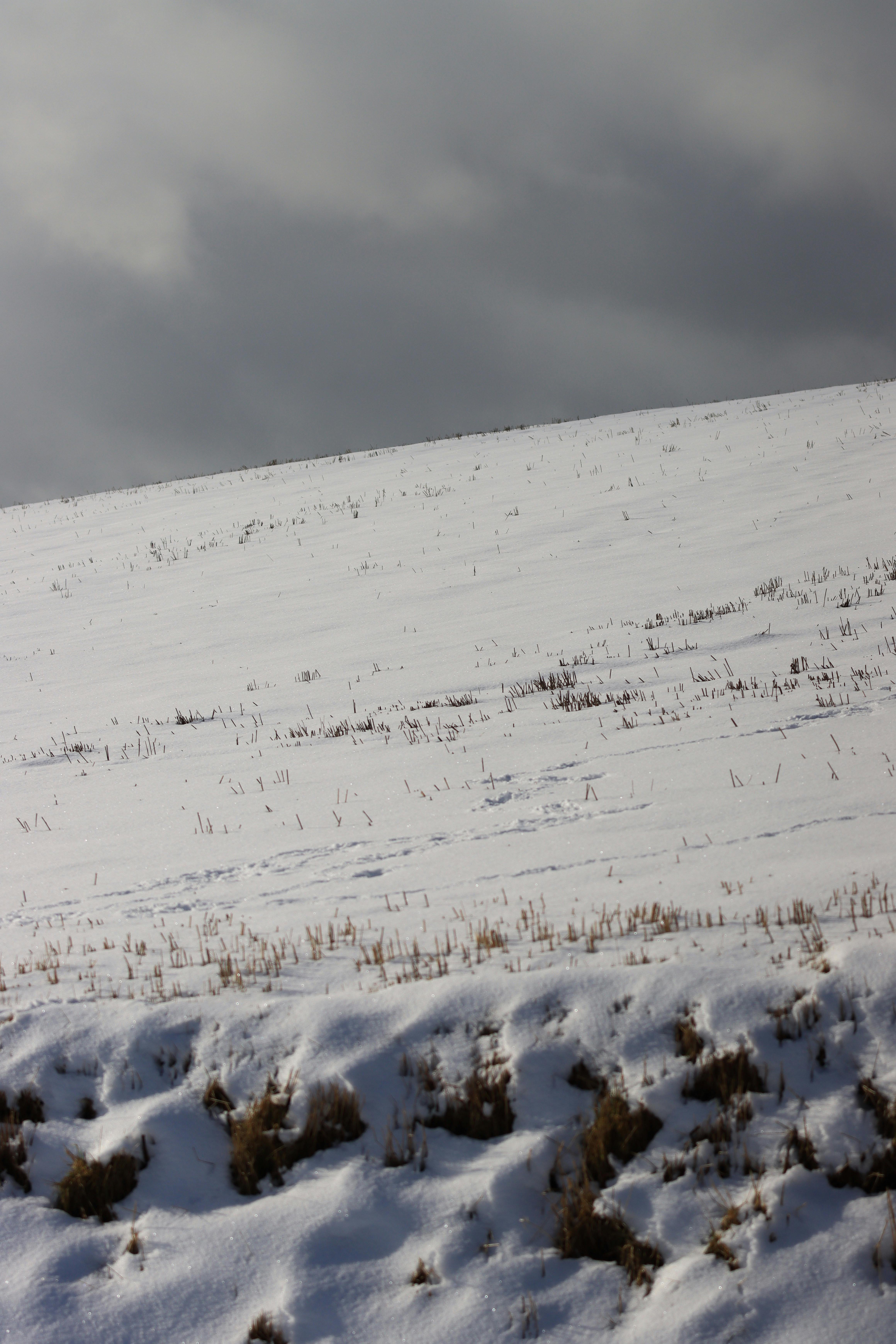 Gray Sky over Snow Covered Ground in the Mountain · Free Stock Photo