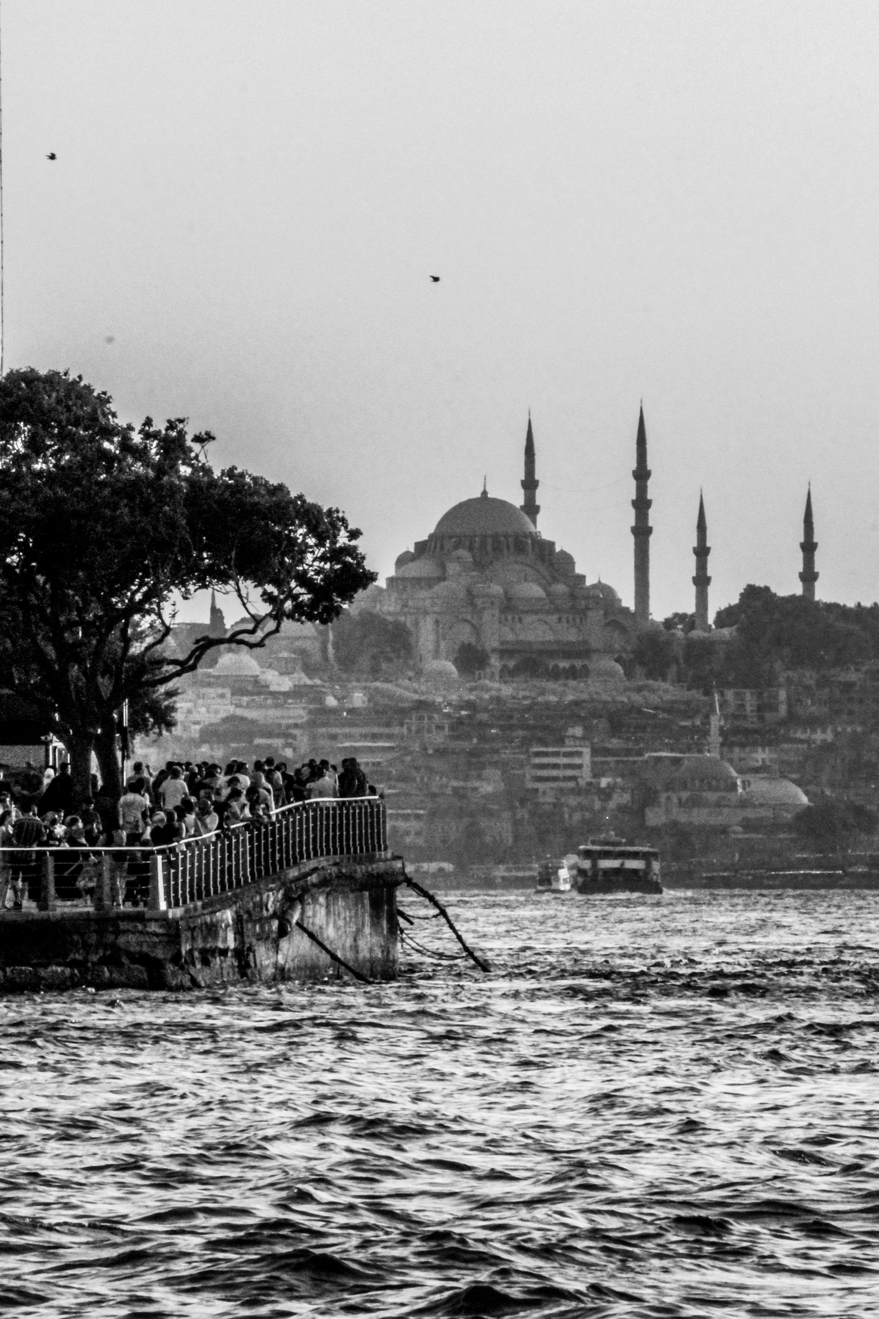 Suleymaniye Mosque in Istanbul, Turkey · Free Stock Photo