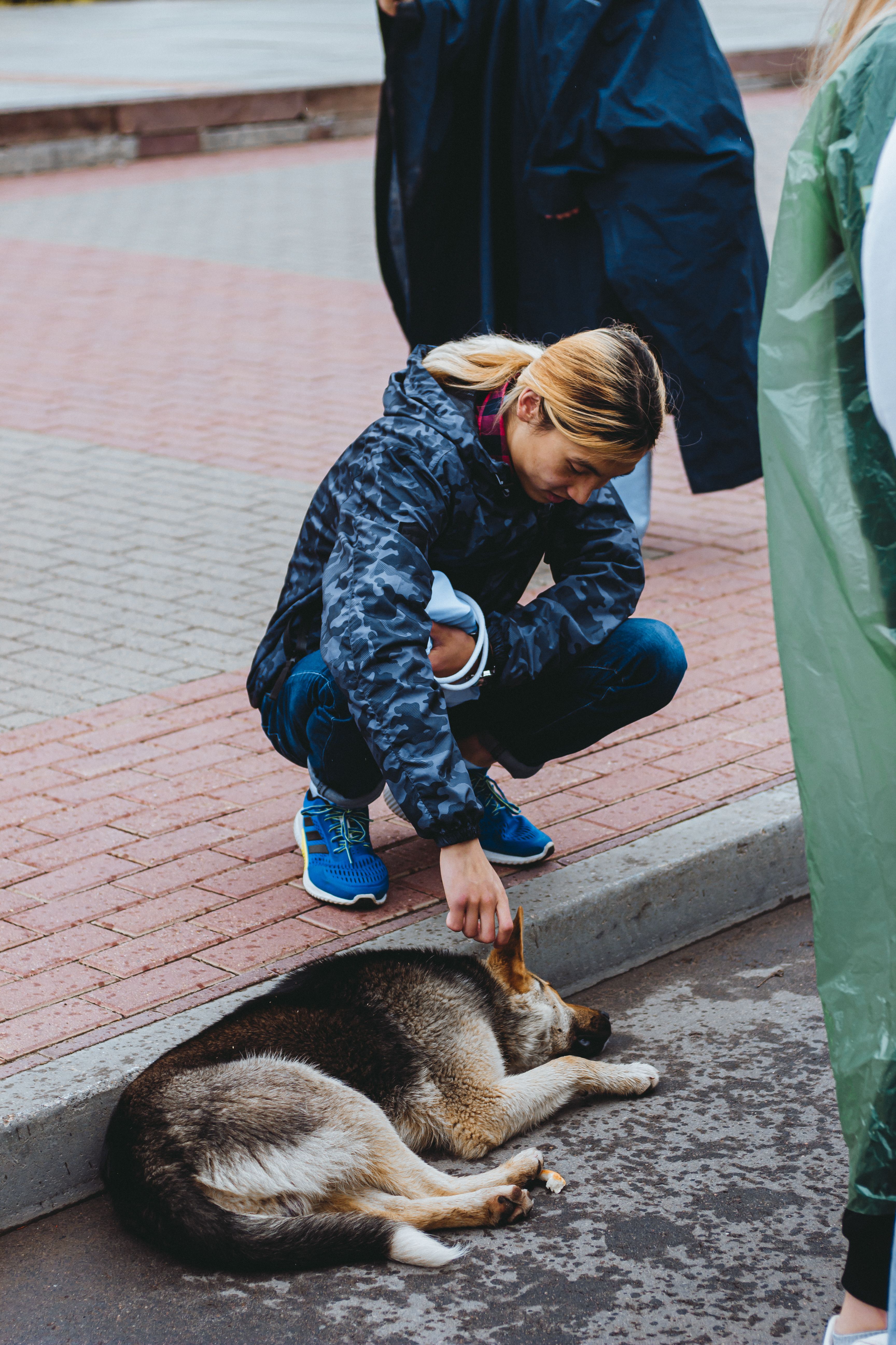 Woman Sitting on Bench Beside Dog Lying on Floor · Free Stock Photo