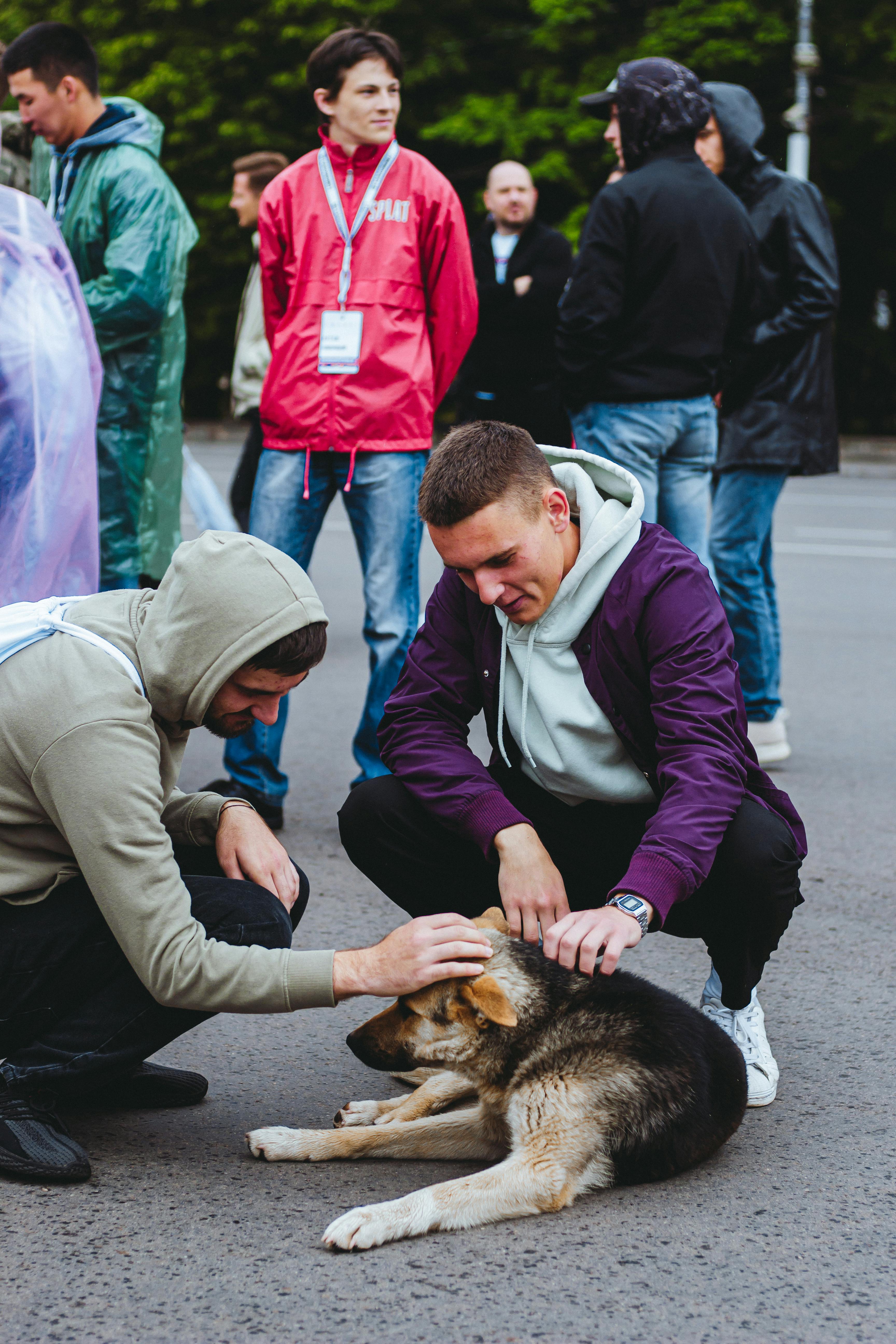 Photograph of Men Petting a Dog · Free Stock Photo