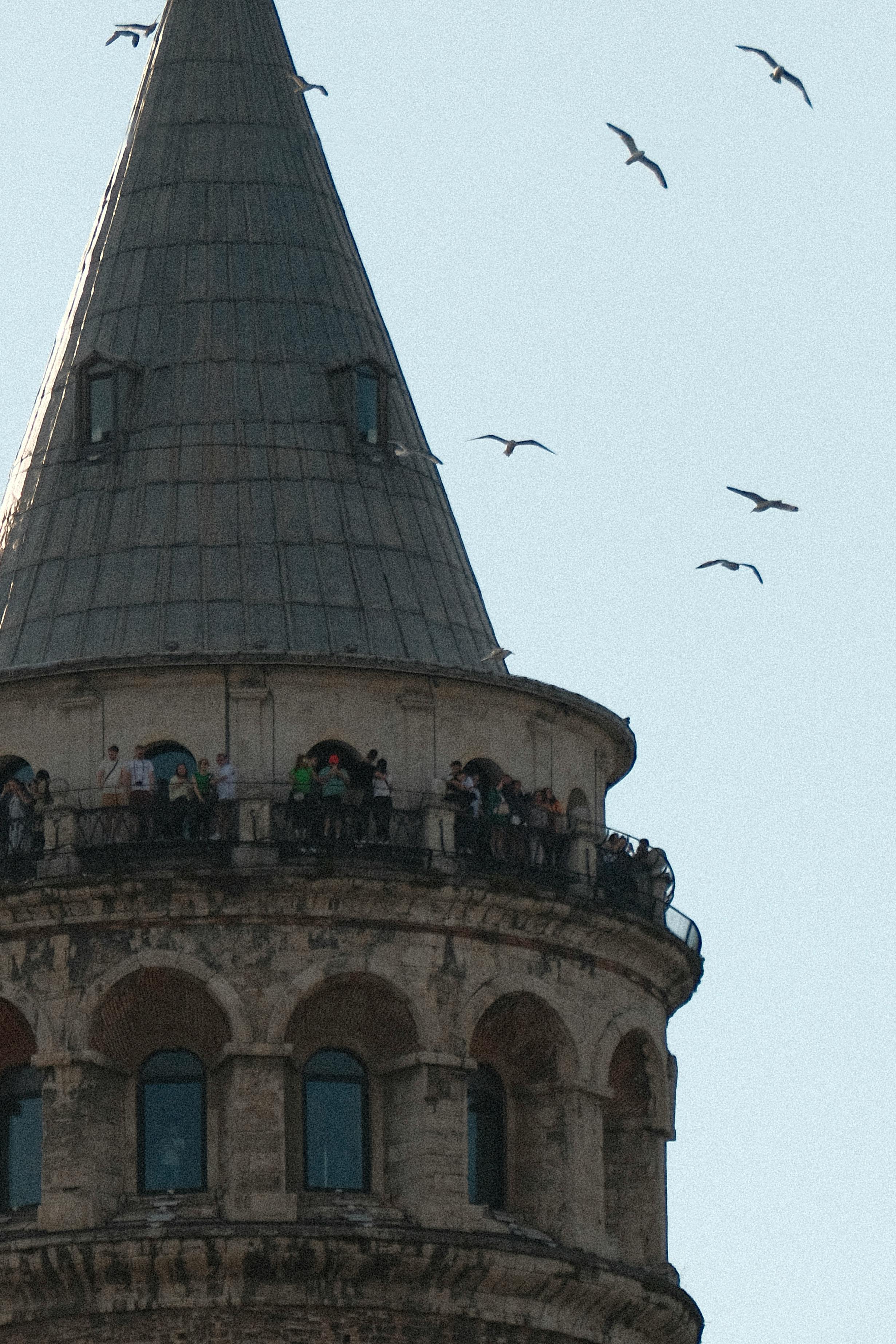 City Buildings Overlooking Galata Tower · Free Stock Photo