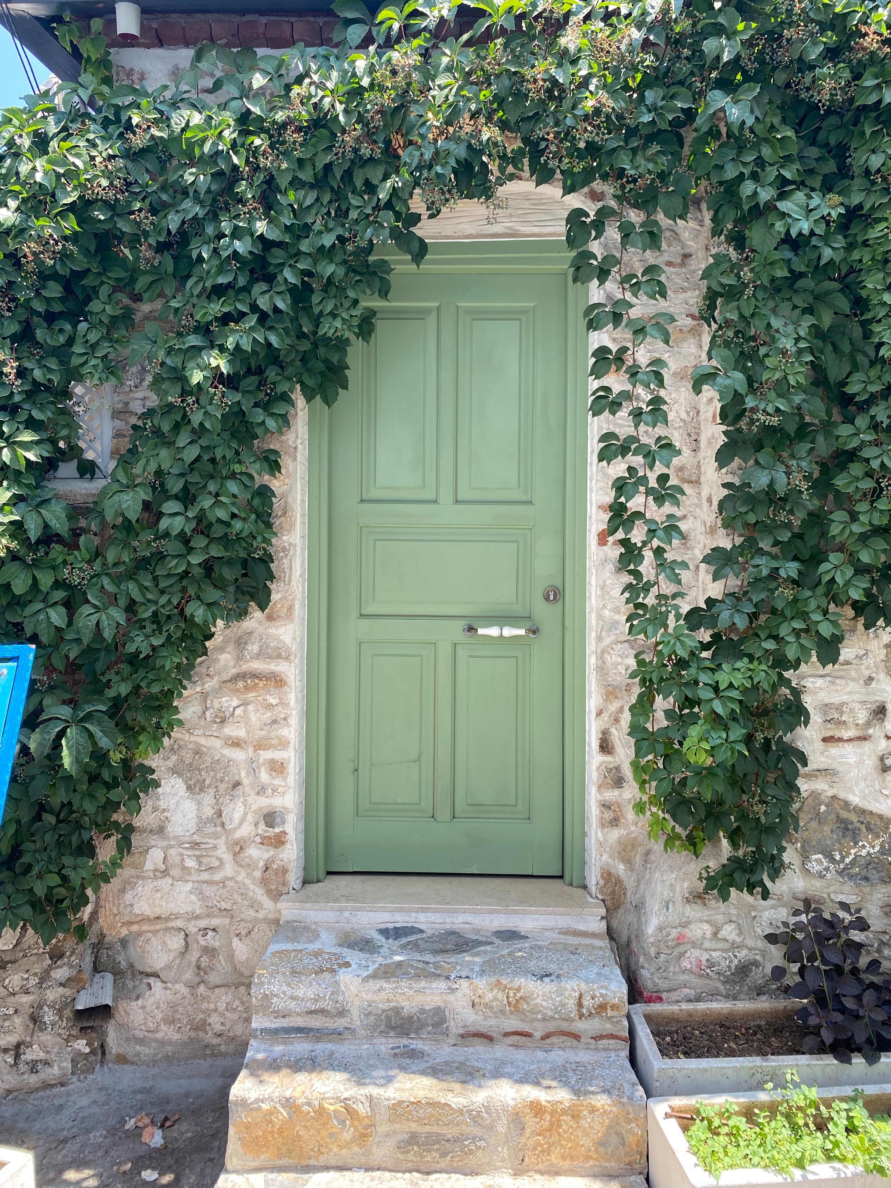 Vine Door Photos, Download The BEST Free Vine Door Stock Photos & HD Images