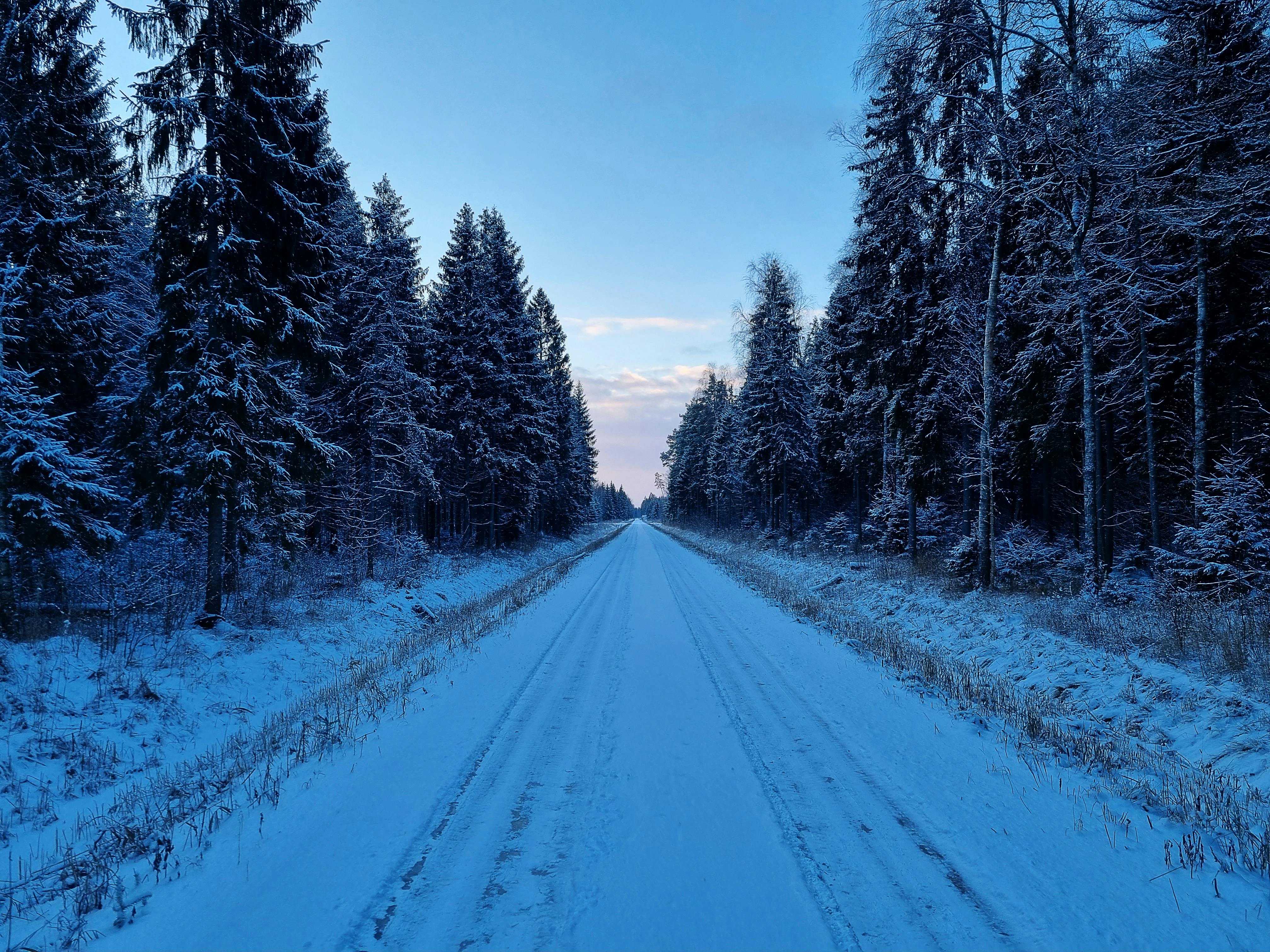 A Snow Covered Road during Winter · Free Stock Photo