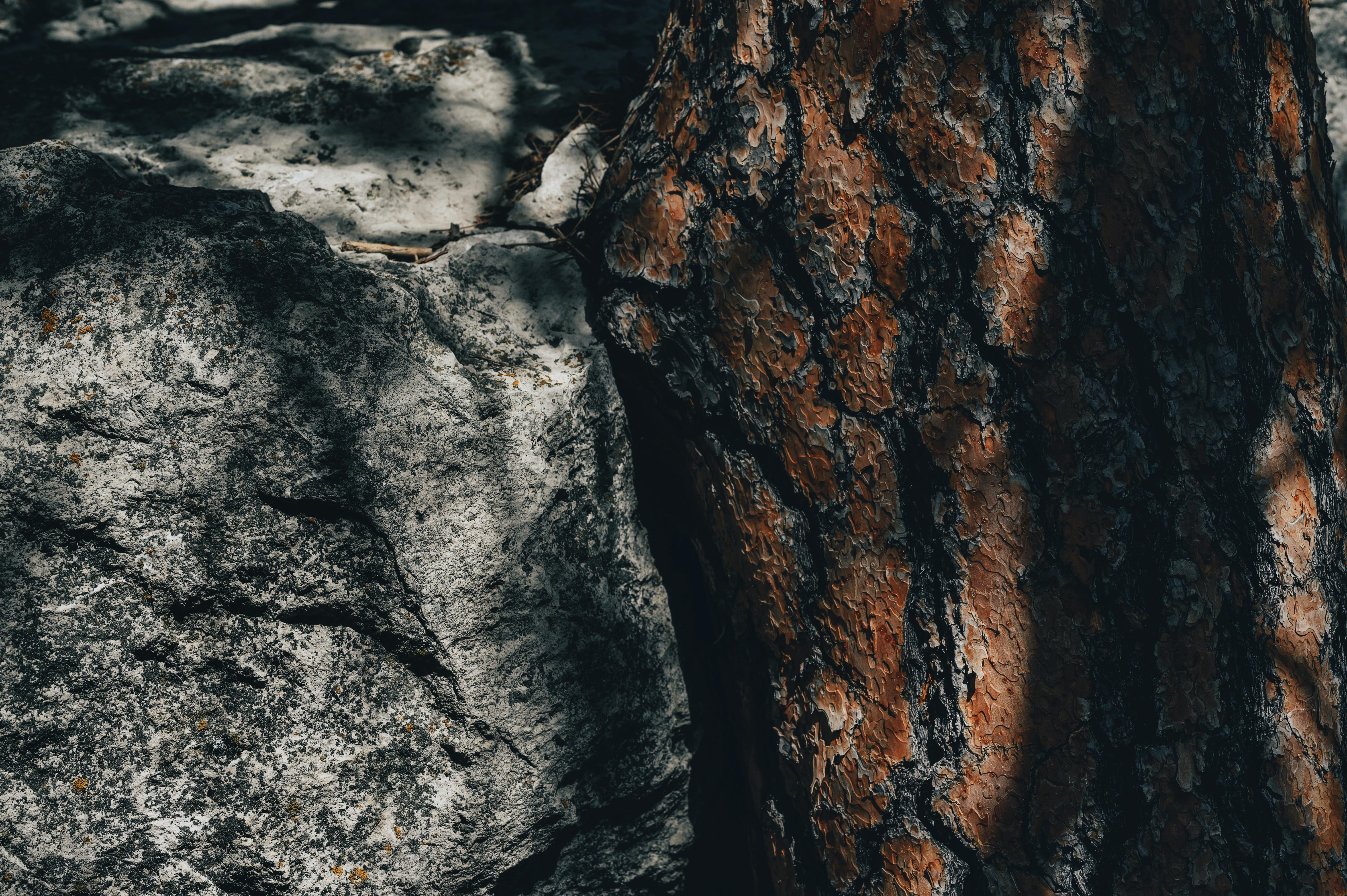 Close up of a Rock · Free Stock Photo