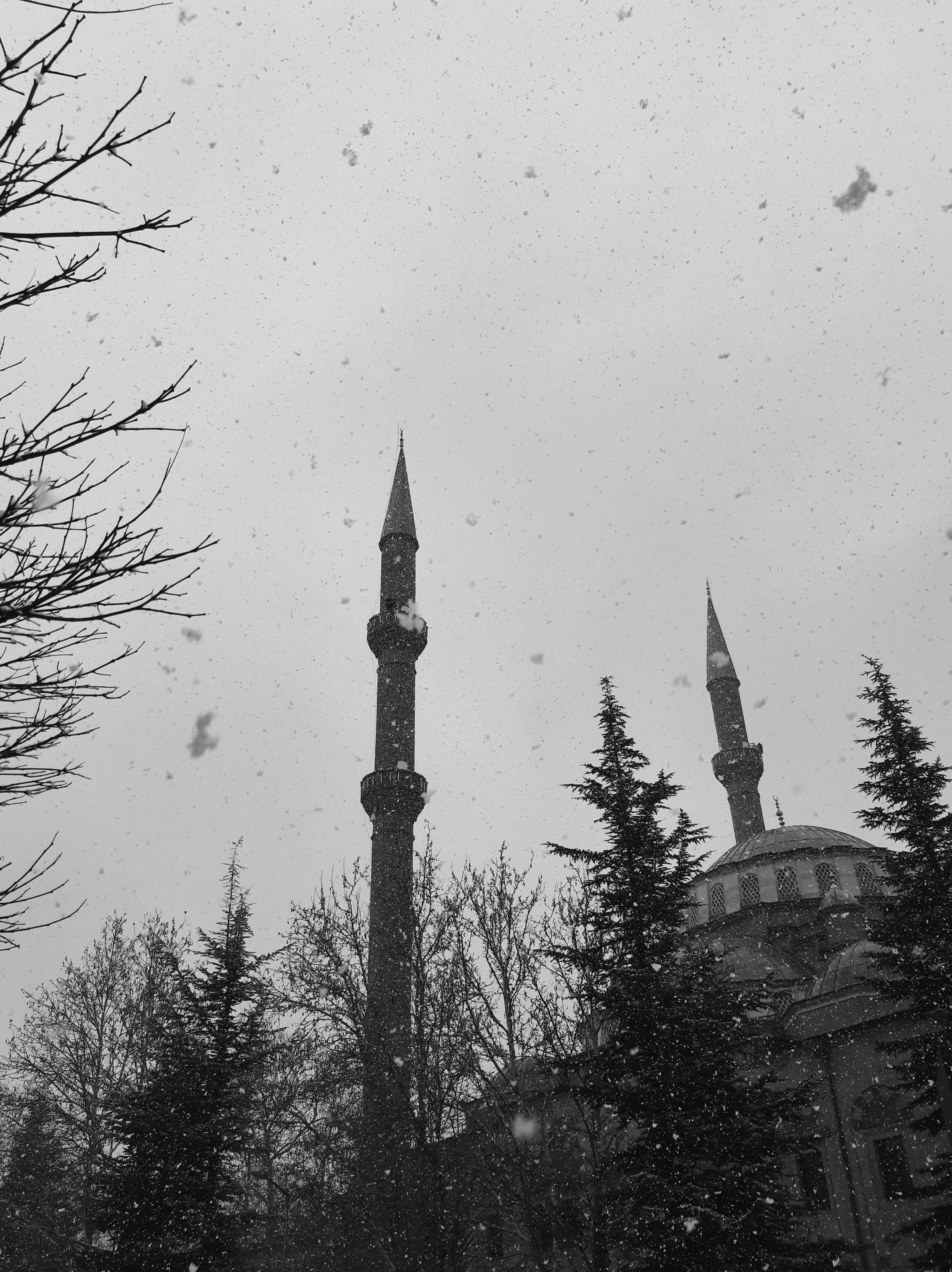 Blue Mosque while Snowing · Free Stock Photo