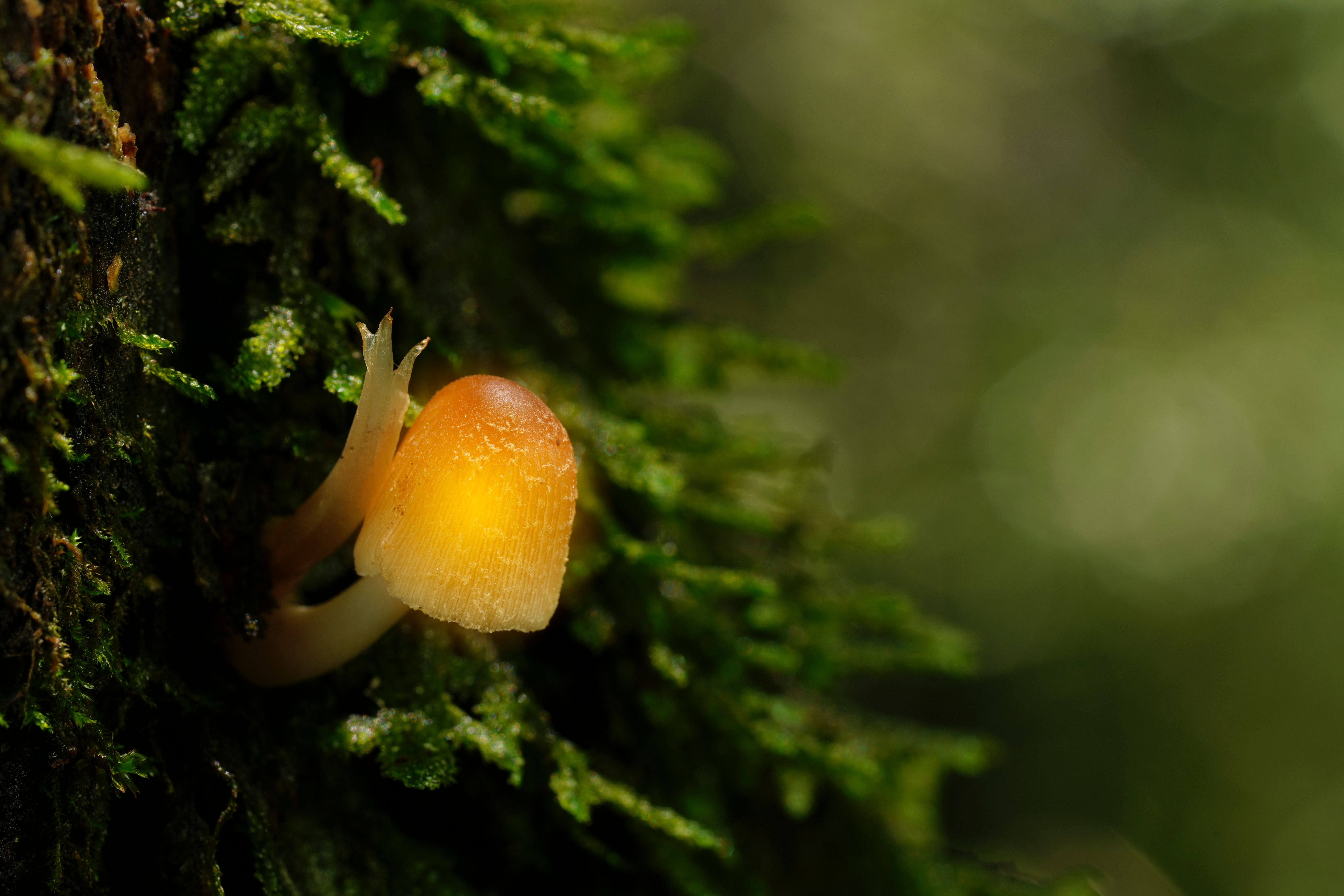 Biodiversity Cycle Photos, Download The BEST Free Biodiversity Cycle ...