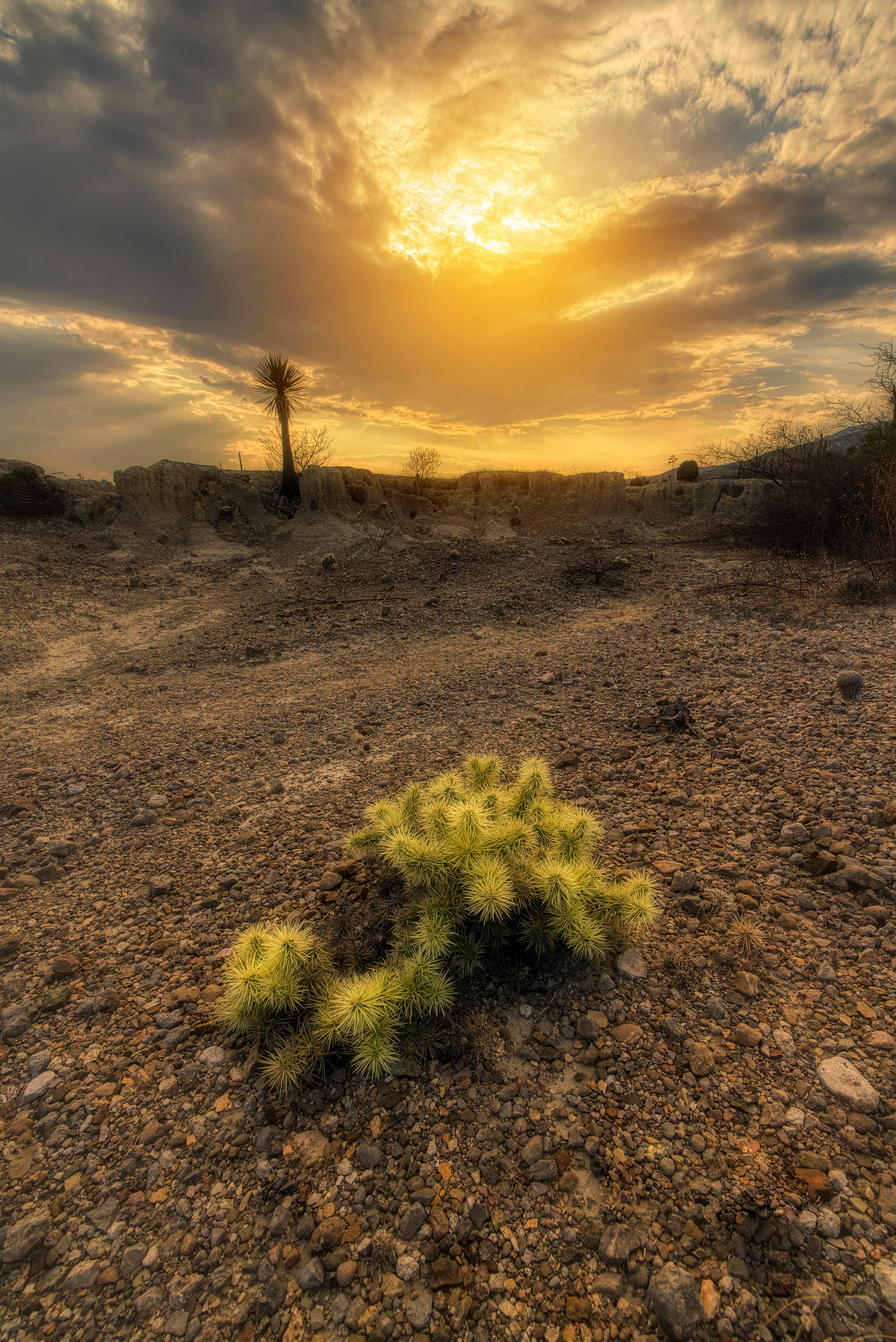 Birds Eye View of a Desert Landscape · Free Stock Photo