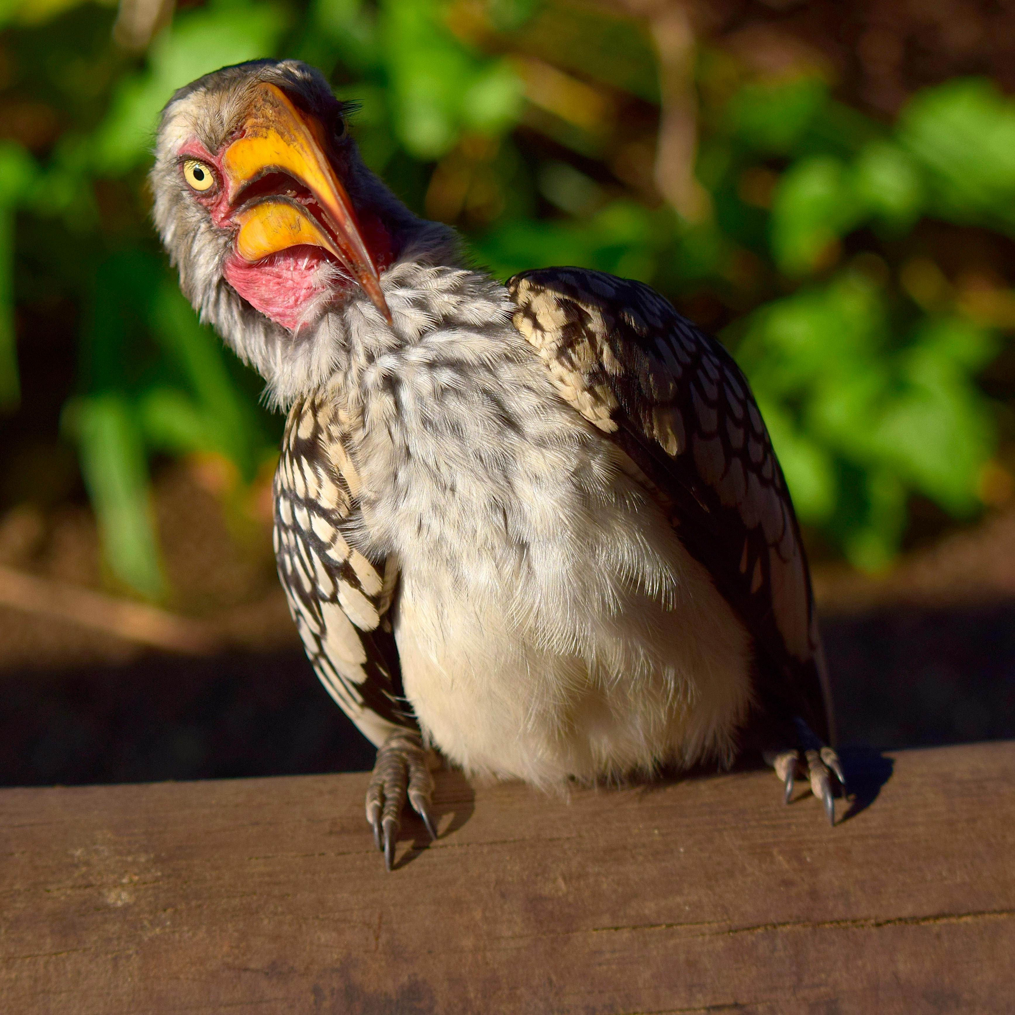 Mark Napier - Photography