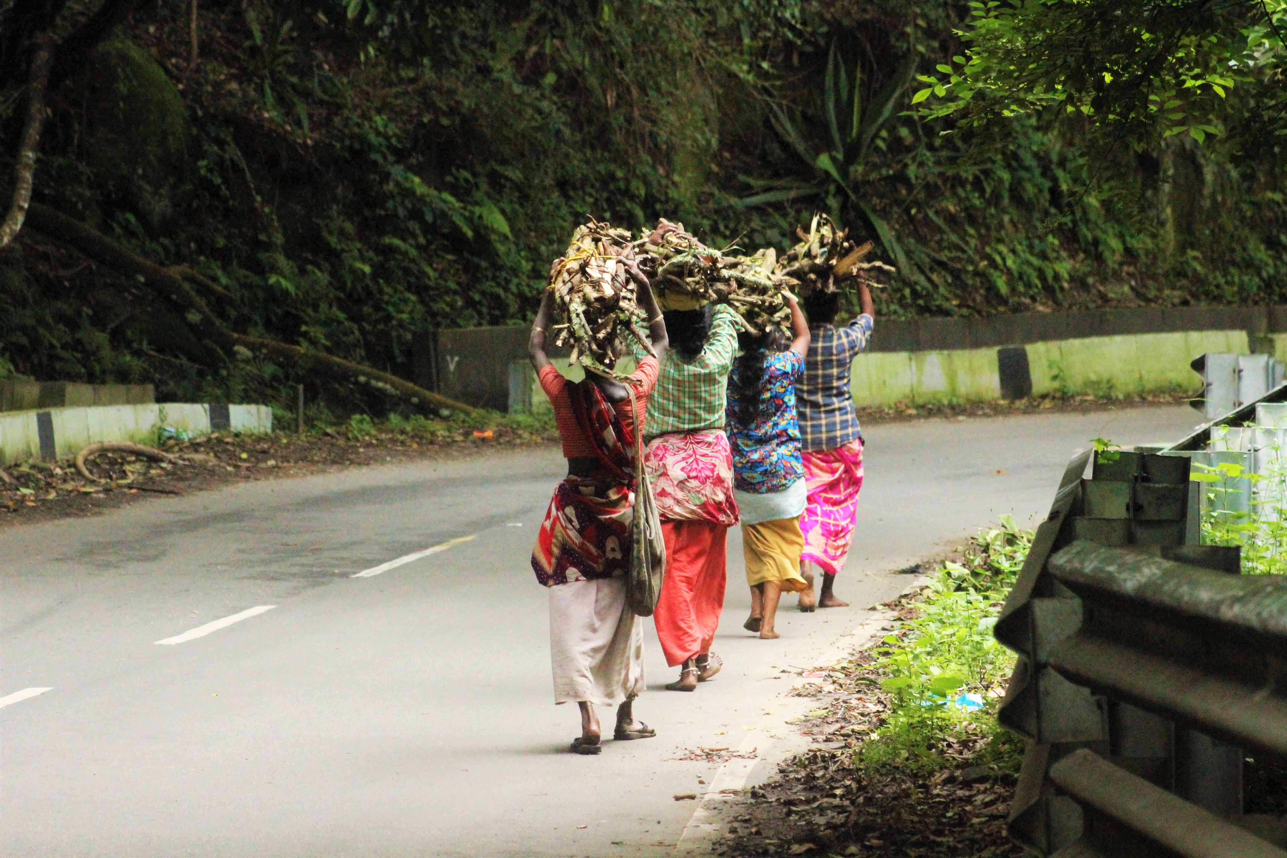 Women Carrying Branches along Road · Free Stock Photo