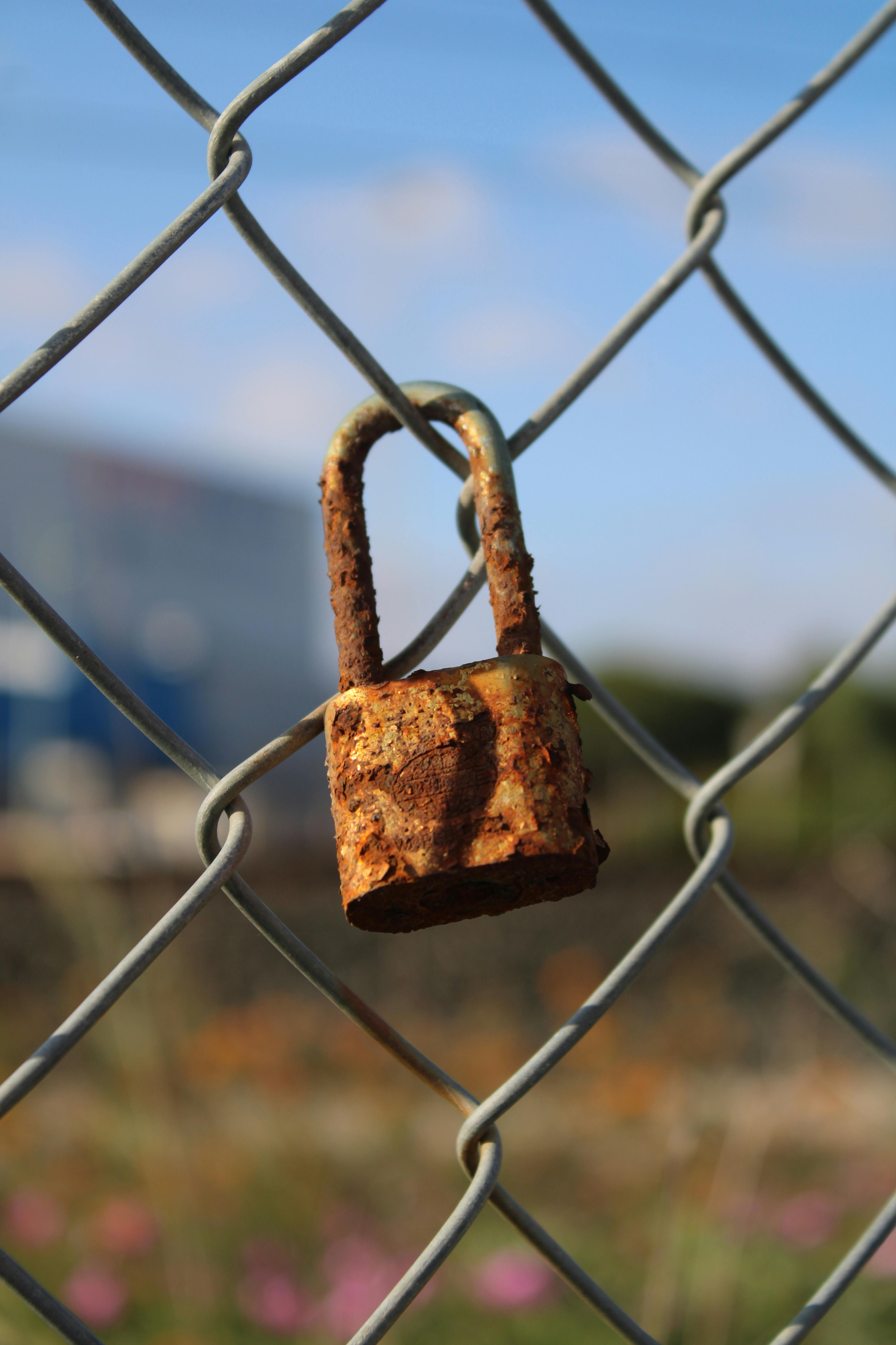 Gold Padlock Locking Door · Free Stock Photo